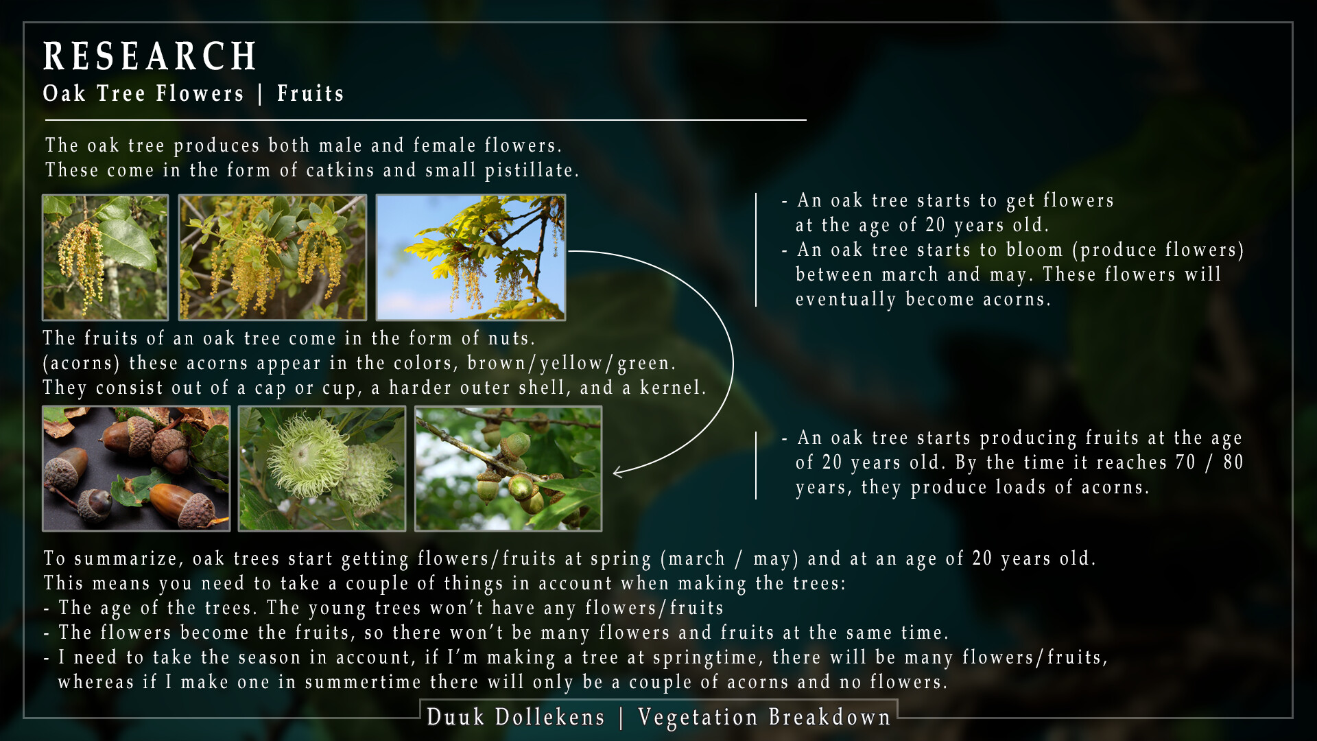 Duuk Dollekens - Vegetation Study | Breakdown