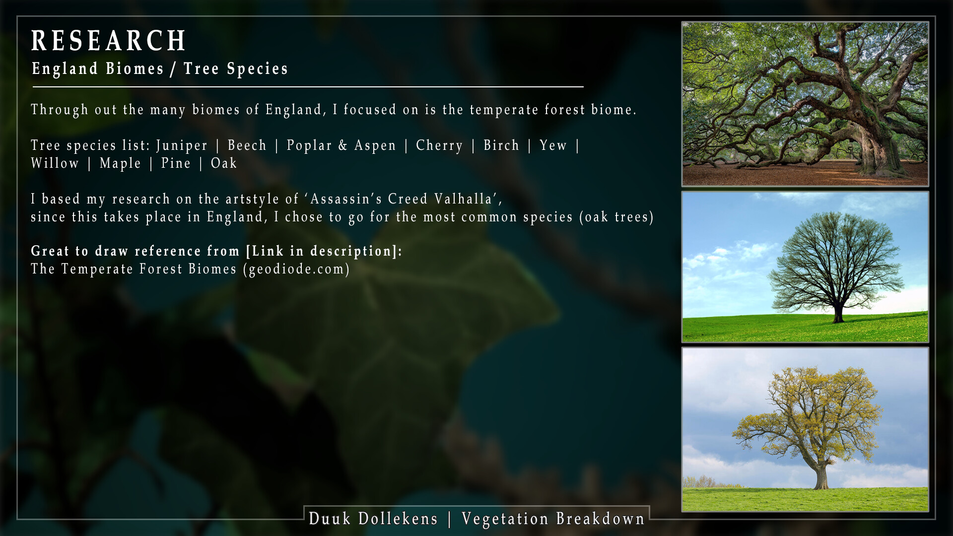 Duuk Dollekens - Vegetation Study | Breakdown