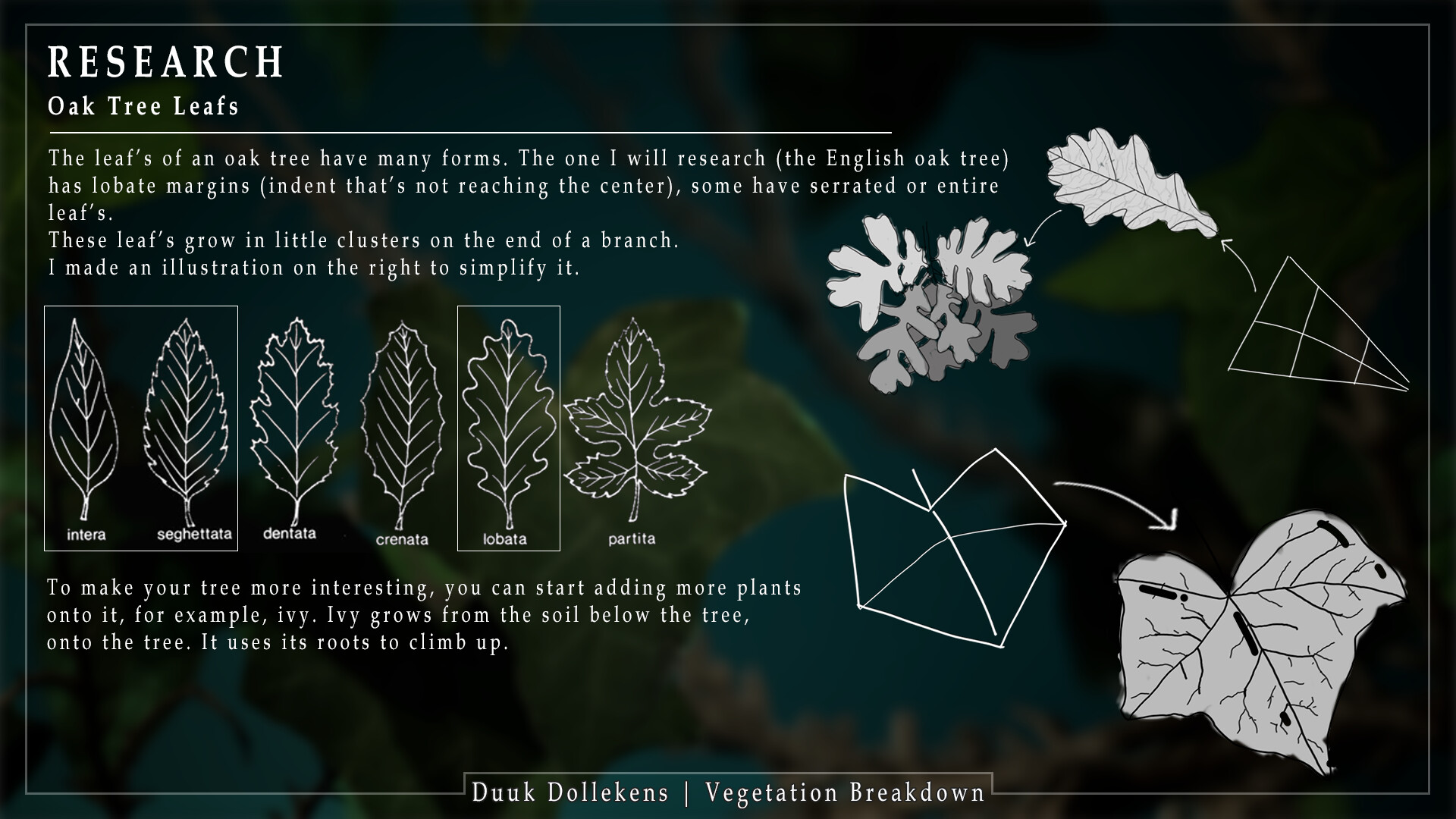 Duuk Dollekens - Vegetation Study | Breakdown