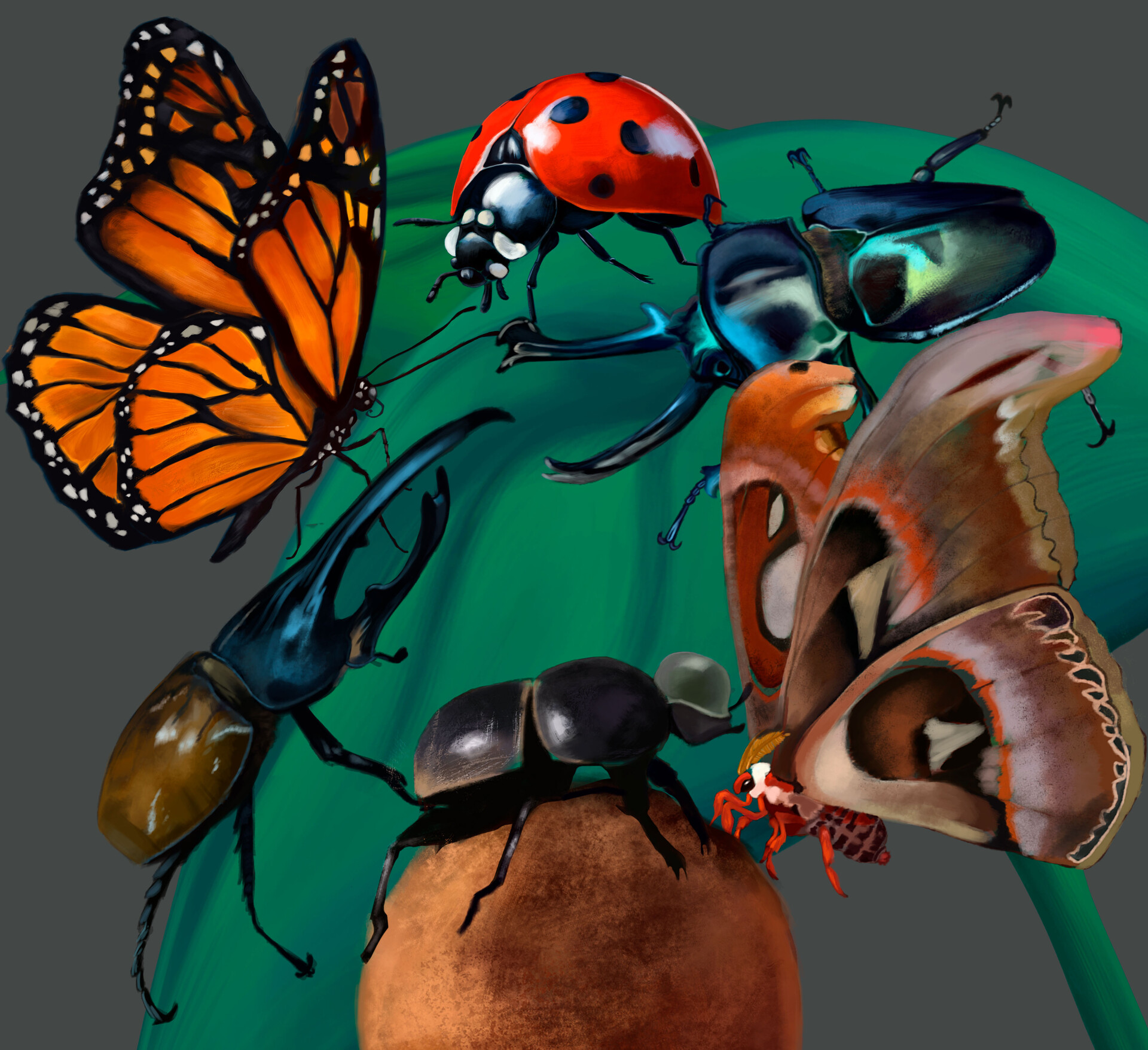 ArtStation - INSECTS