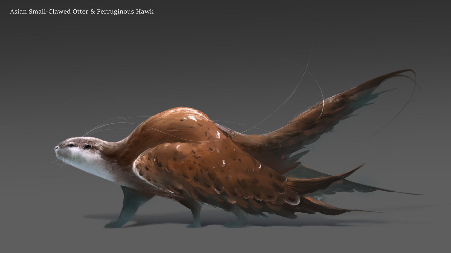 ArtStation - Combined Animal Concept