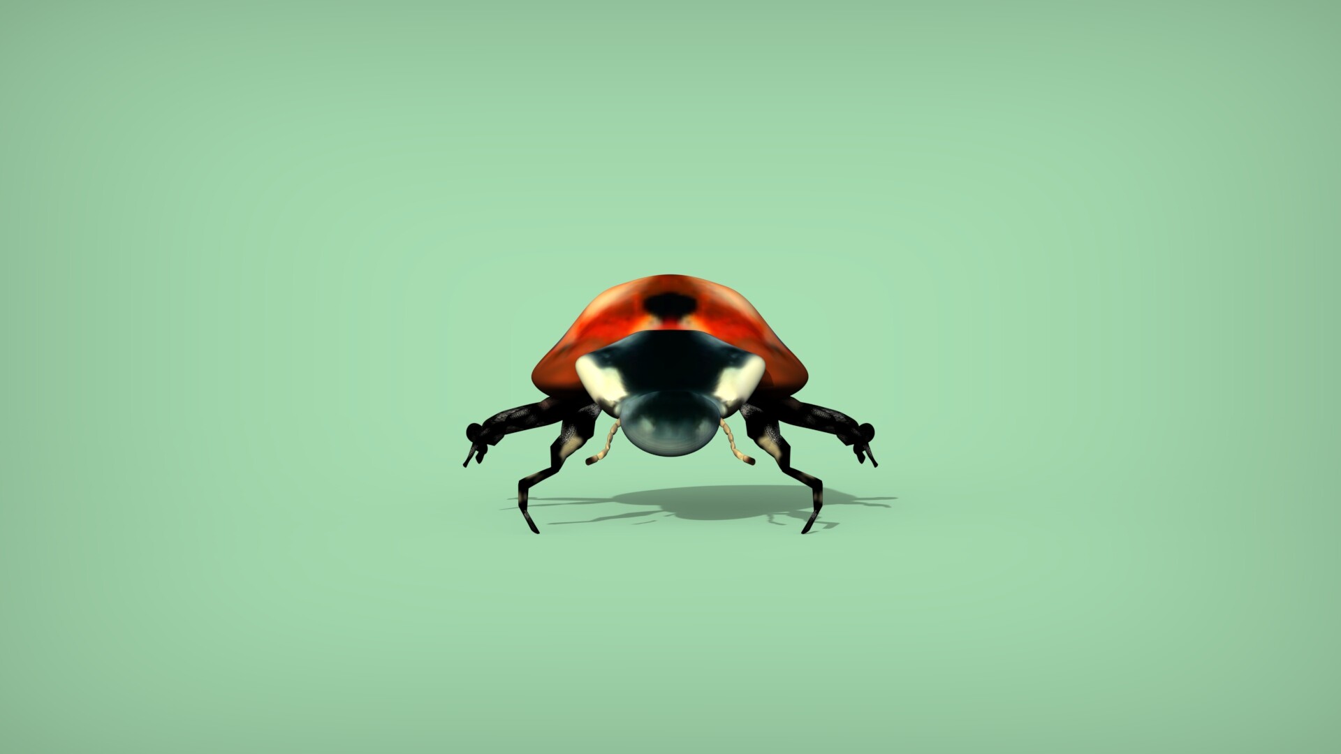 ArtStation - Ladybug (3D Model)