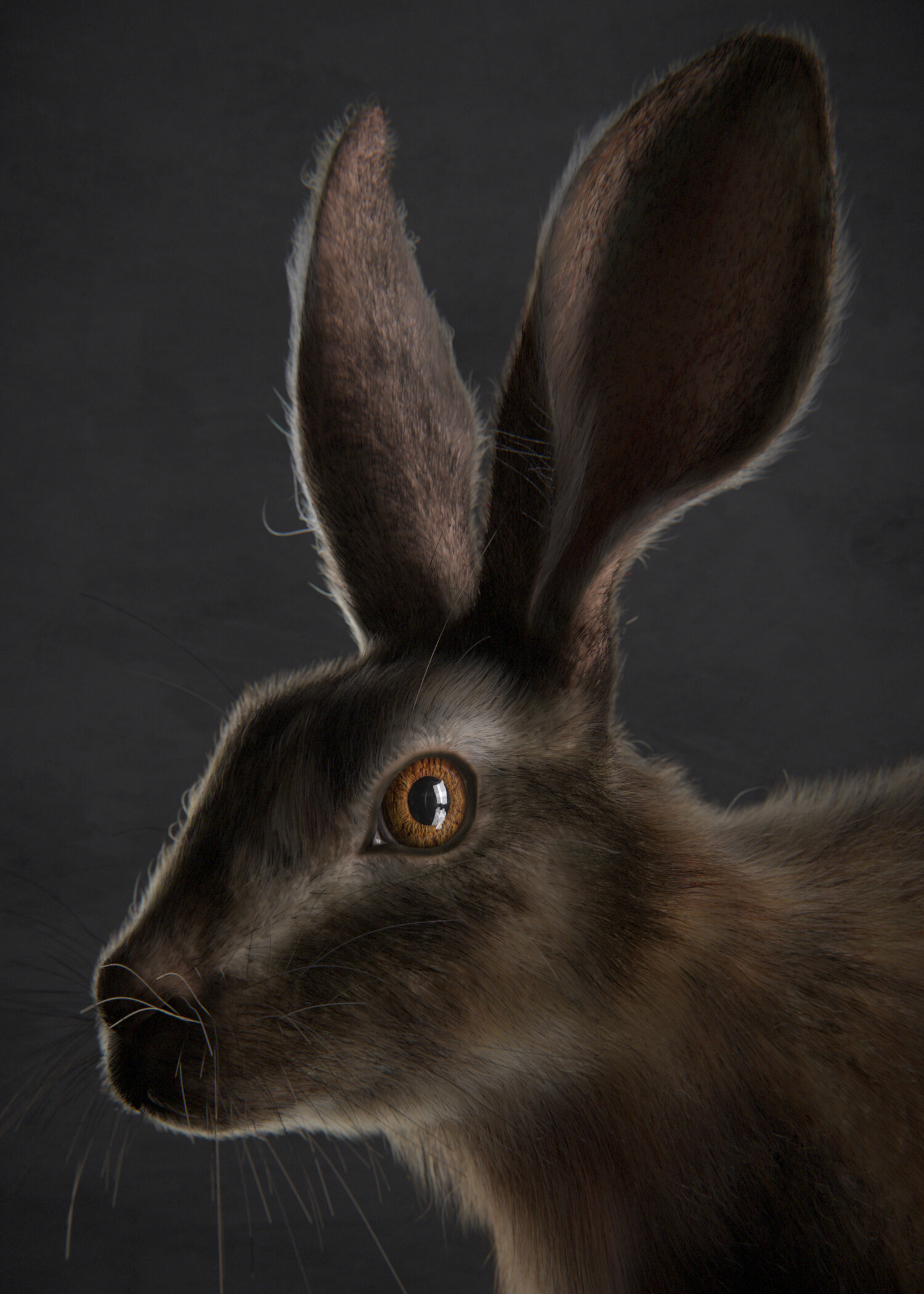 ArtStation - Hare