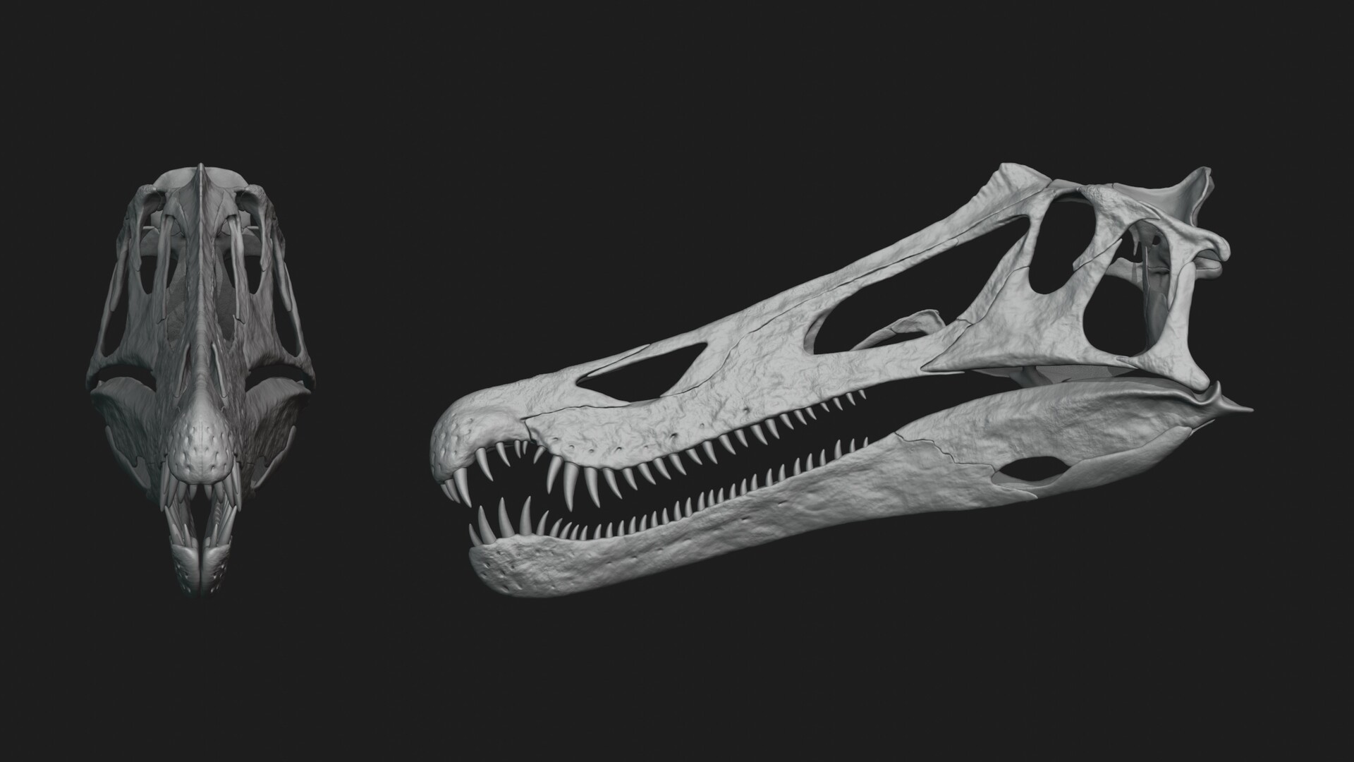 baryonyx skeleton