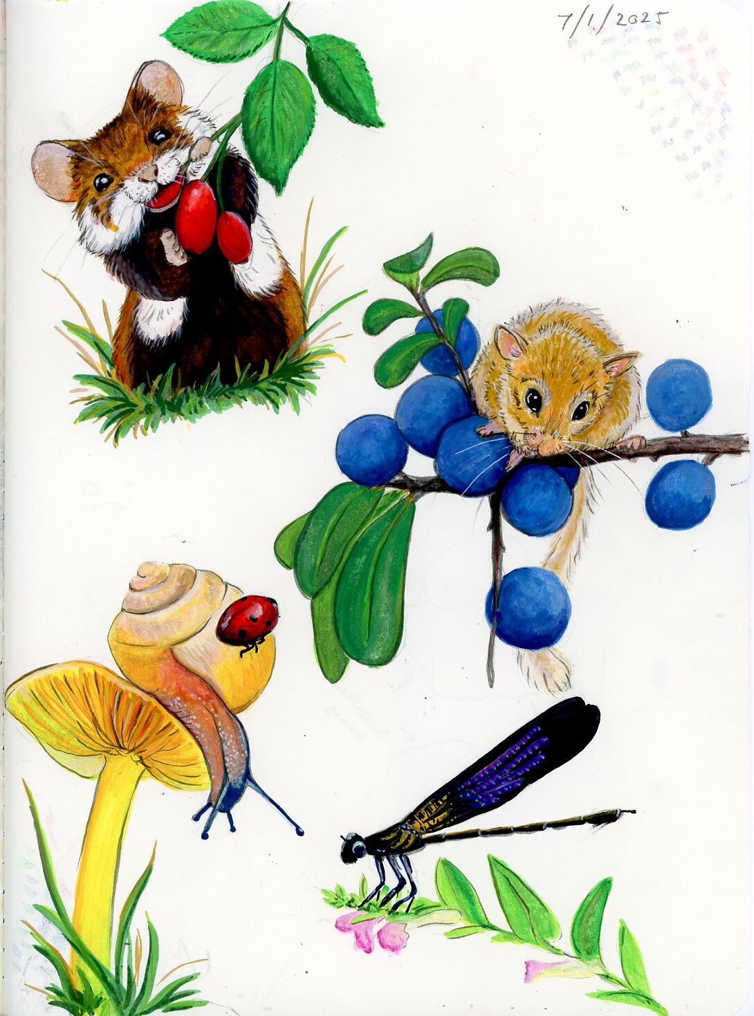 Ildy Izso - Sketchbook - 2025