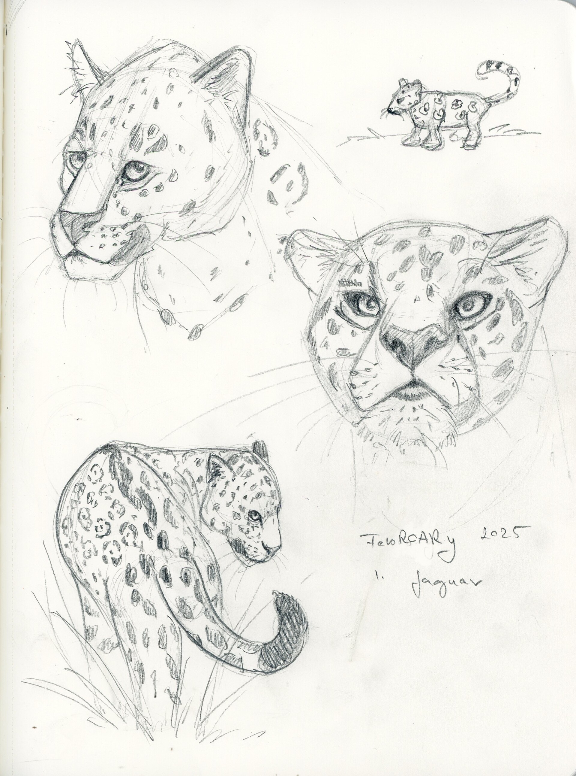 Ildy Izso - Sketchbook - 2025