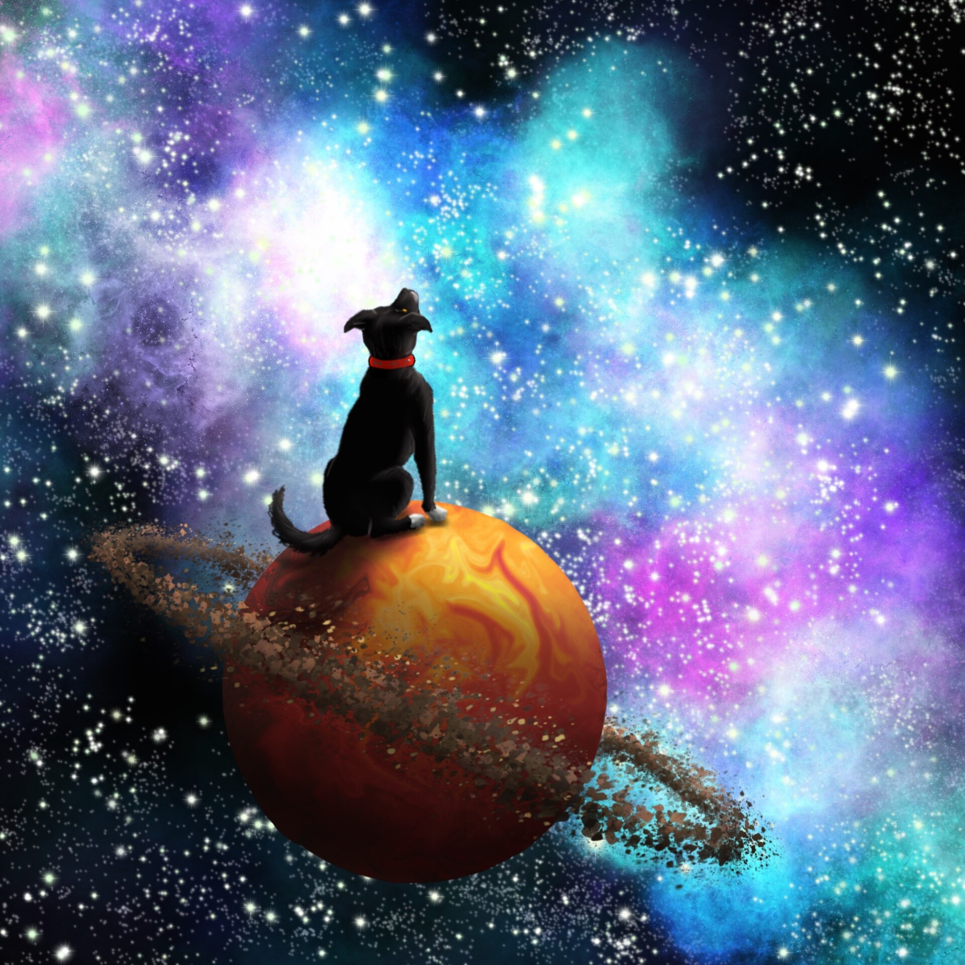 ArtStation - Dog watching the stars