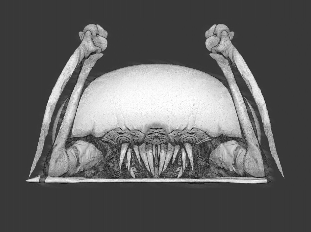 ArtStation - Creepers a series of unpleasant critters. Created and ...