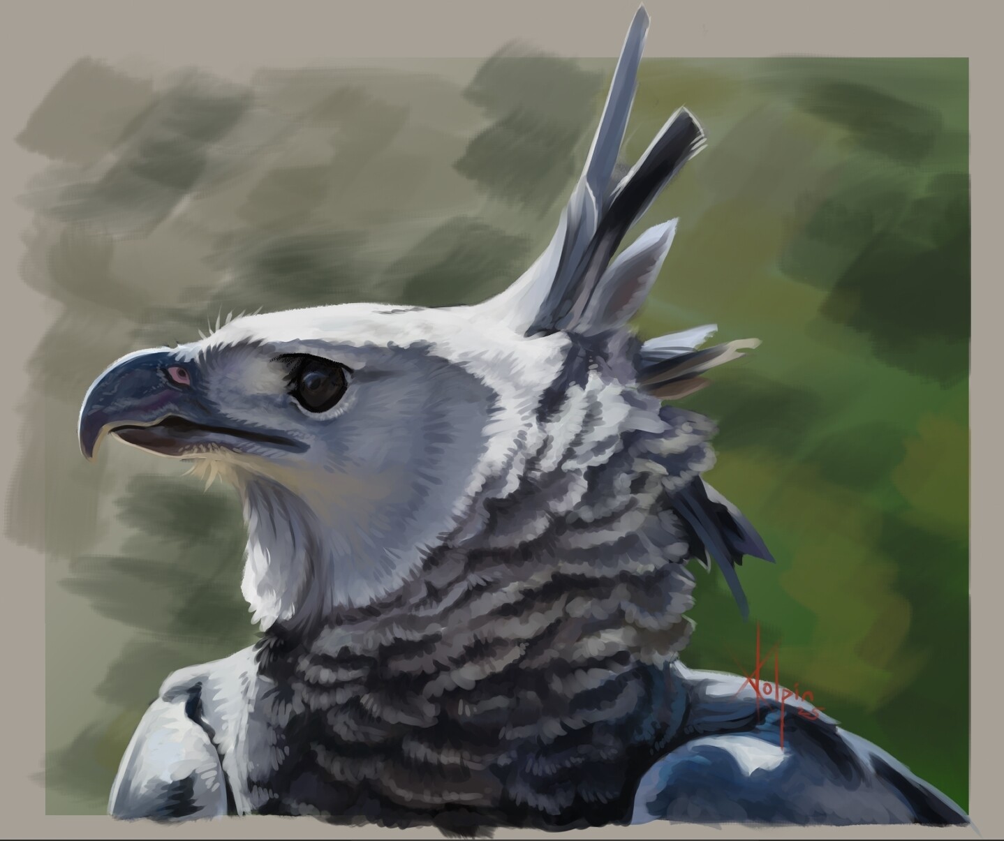 ArtStation - Harpy Eagle