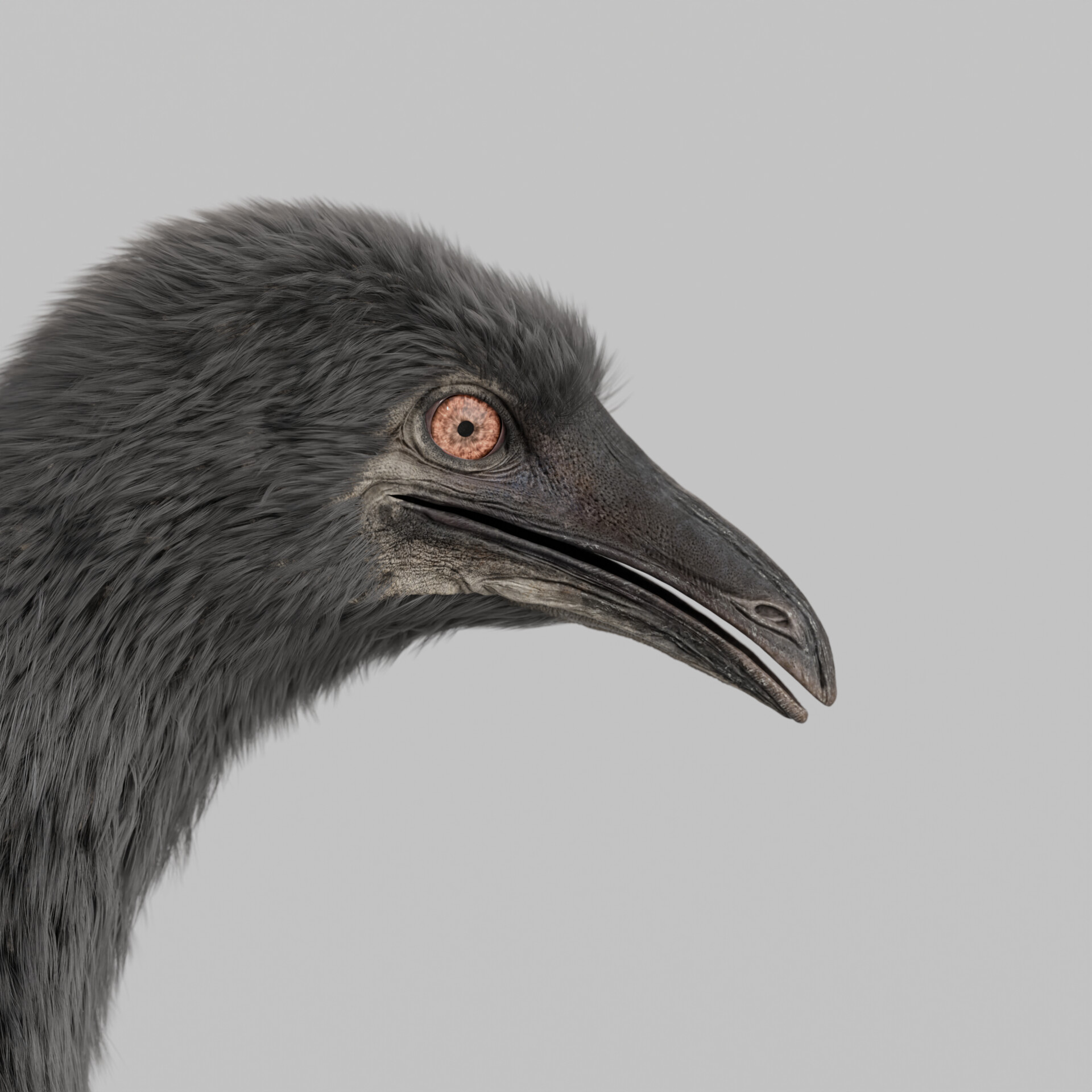 ArtStation - Moa bird