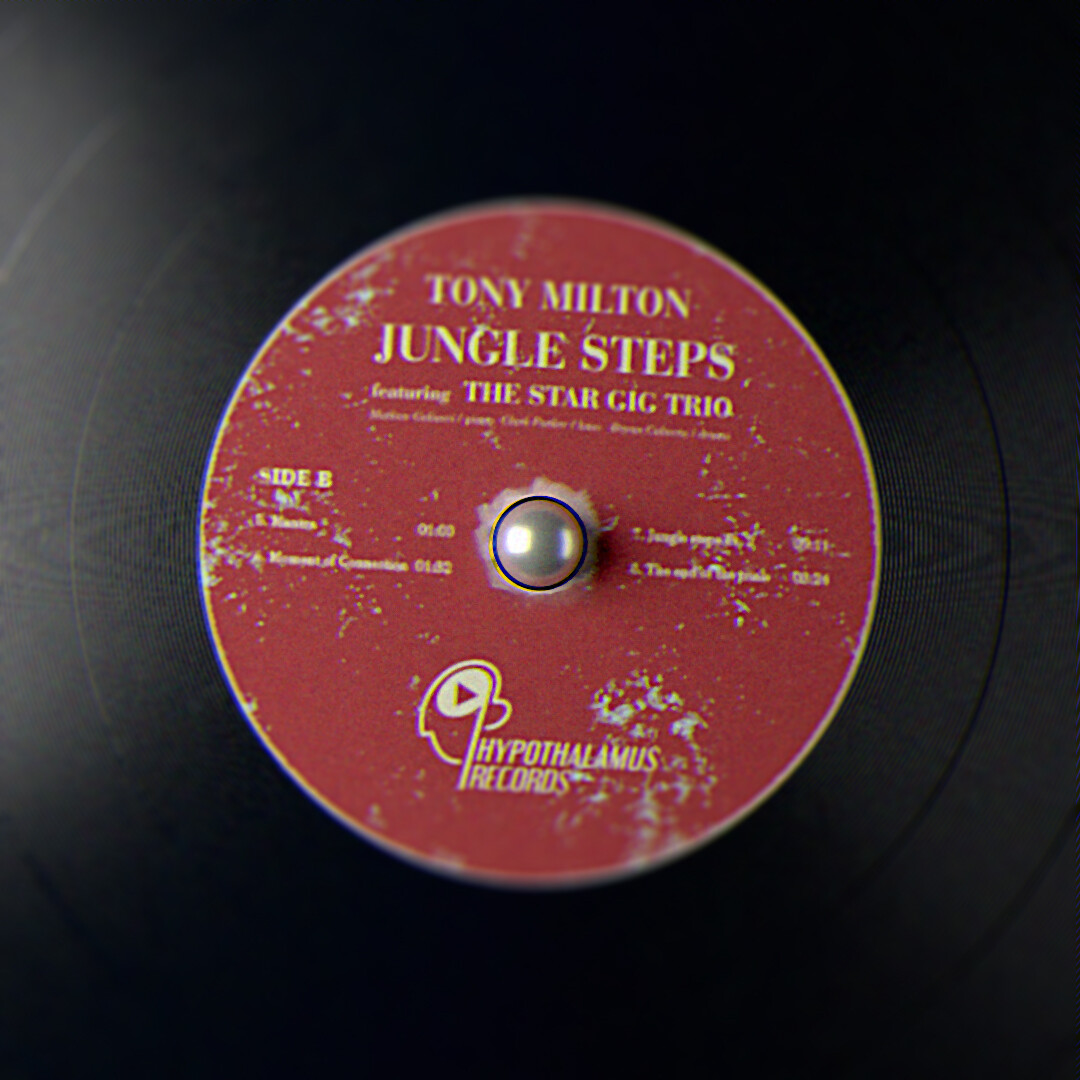 Mayo Bous - Tony Milton - Jungle Steps
