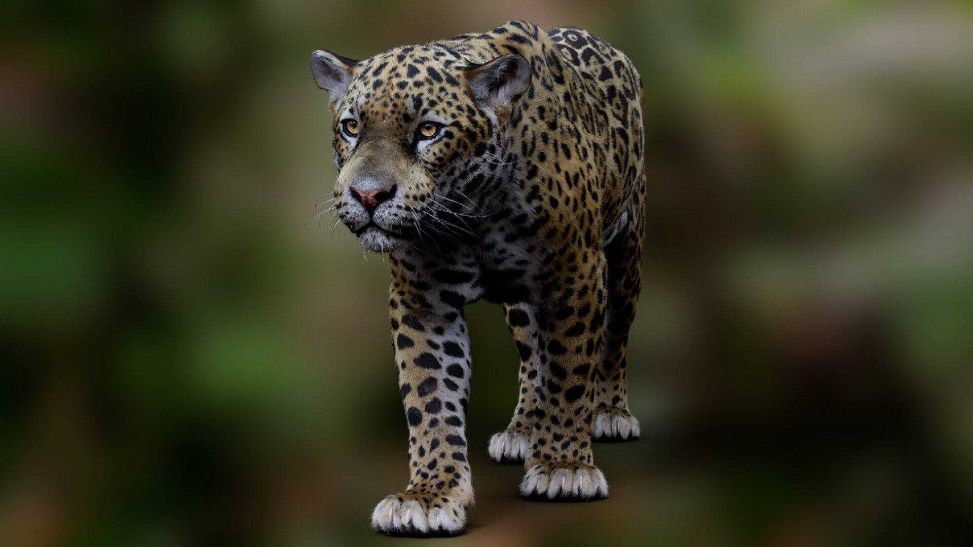 Aritz Basauri - Jaguar