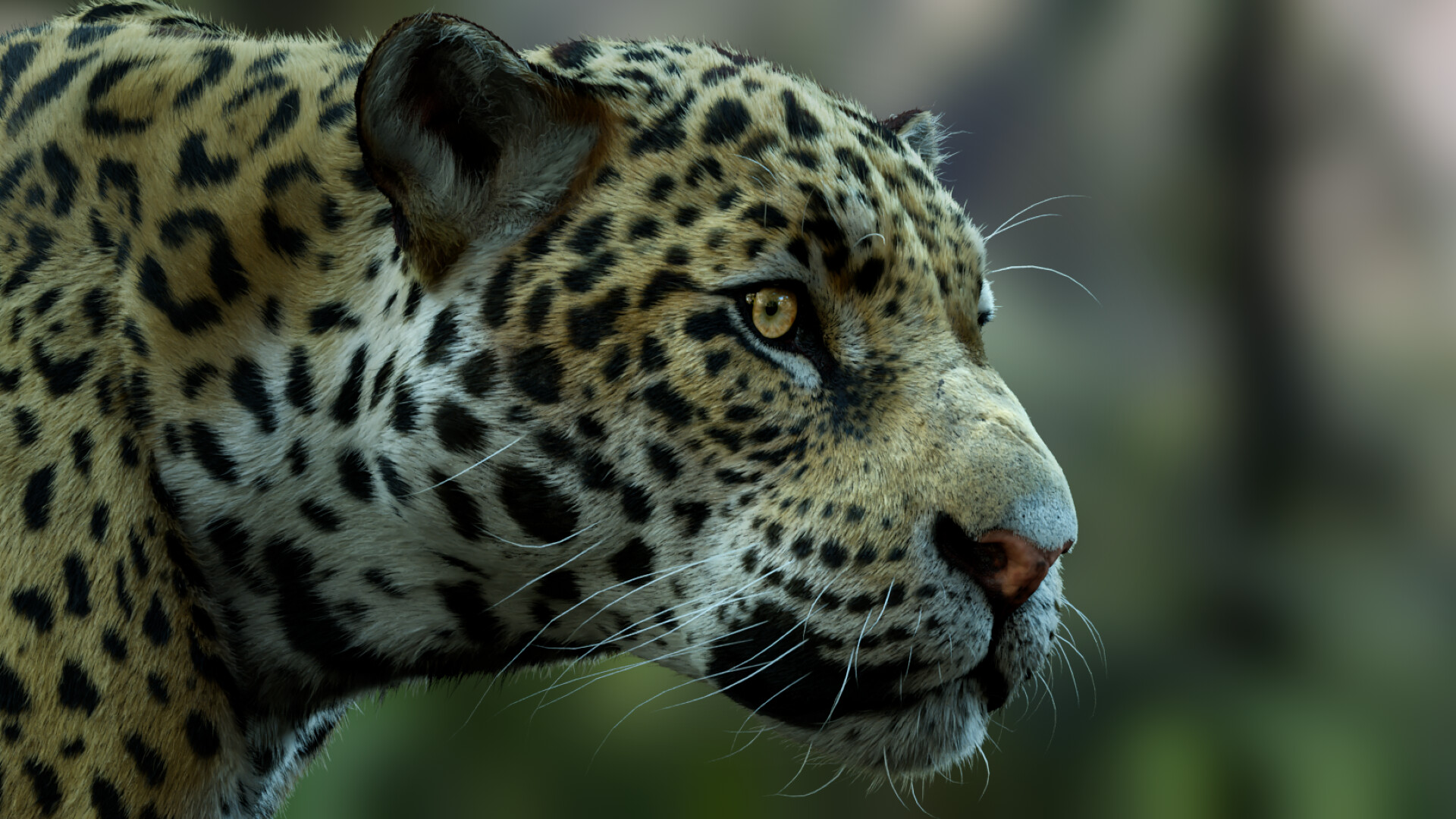 Aritz Basauri - Jaguar