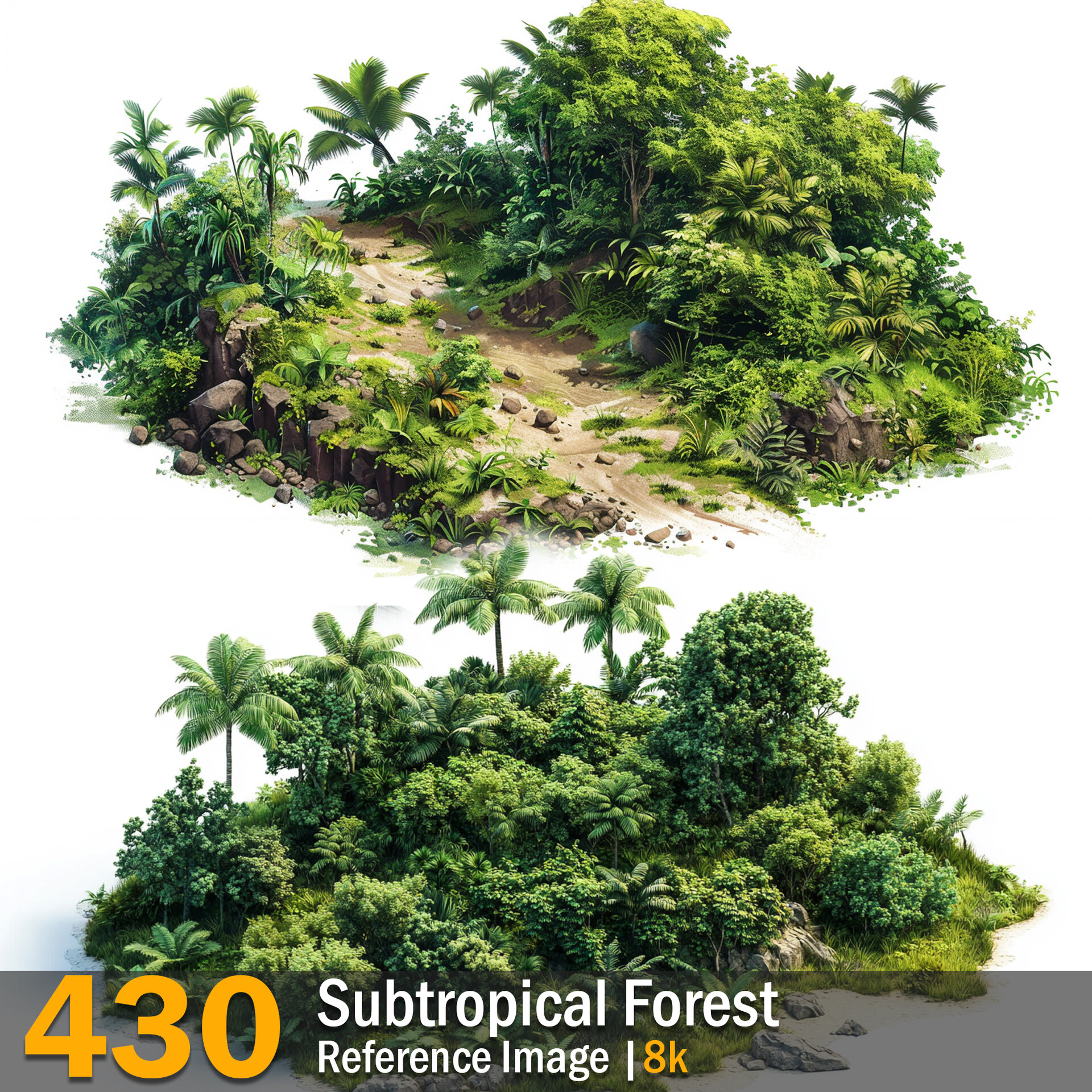 ArtStation - Subtropical Forest | Reference Images | 8K