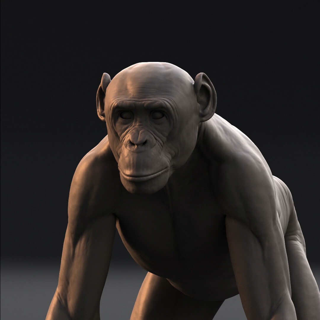 ArtStation - Bonobo sculpt