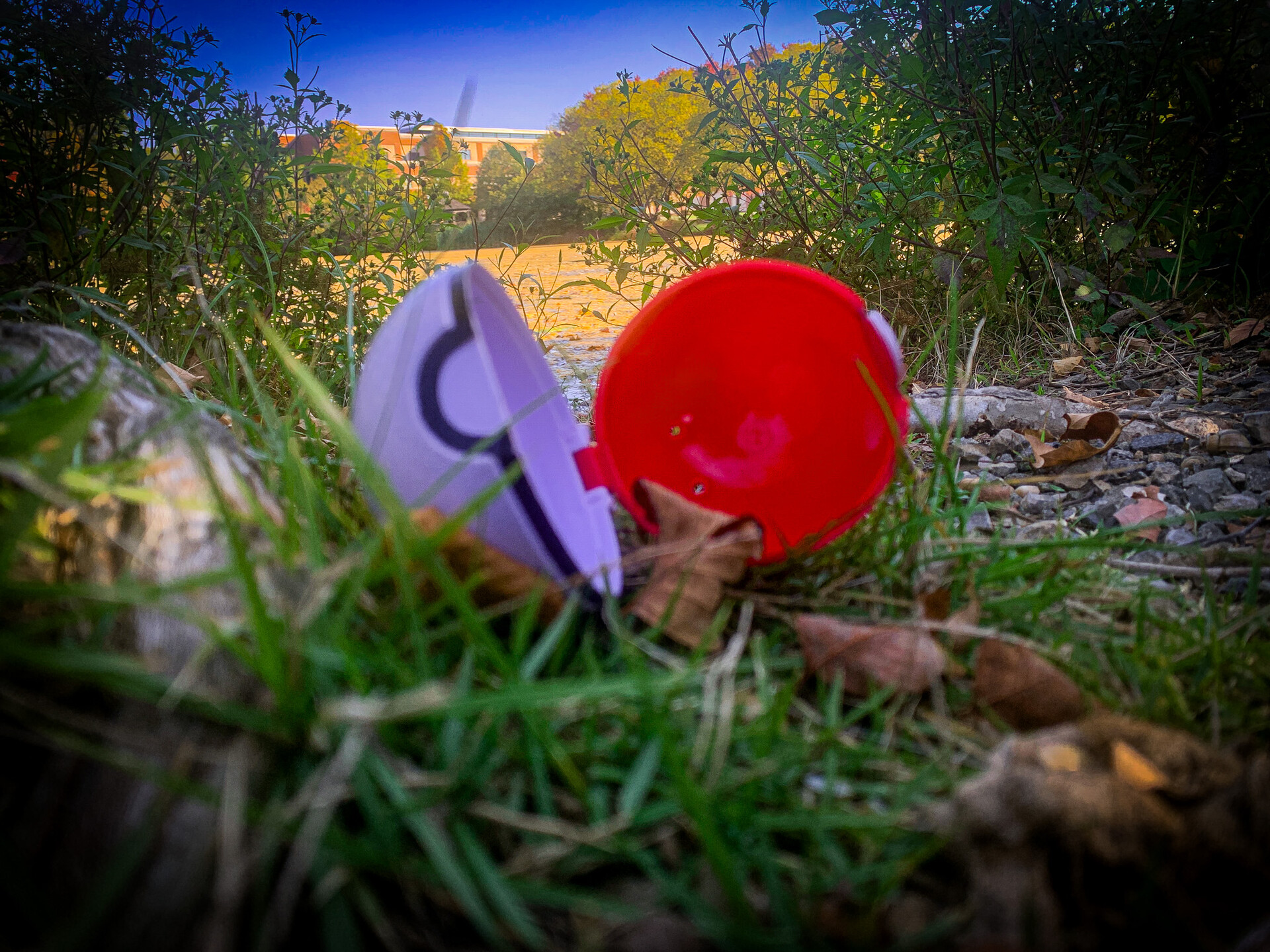 ArtStation - Pokeball by the Lake