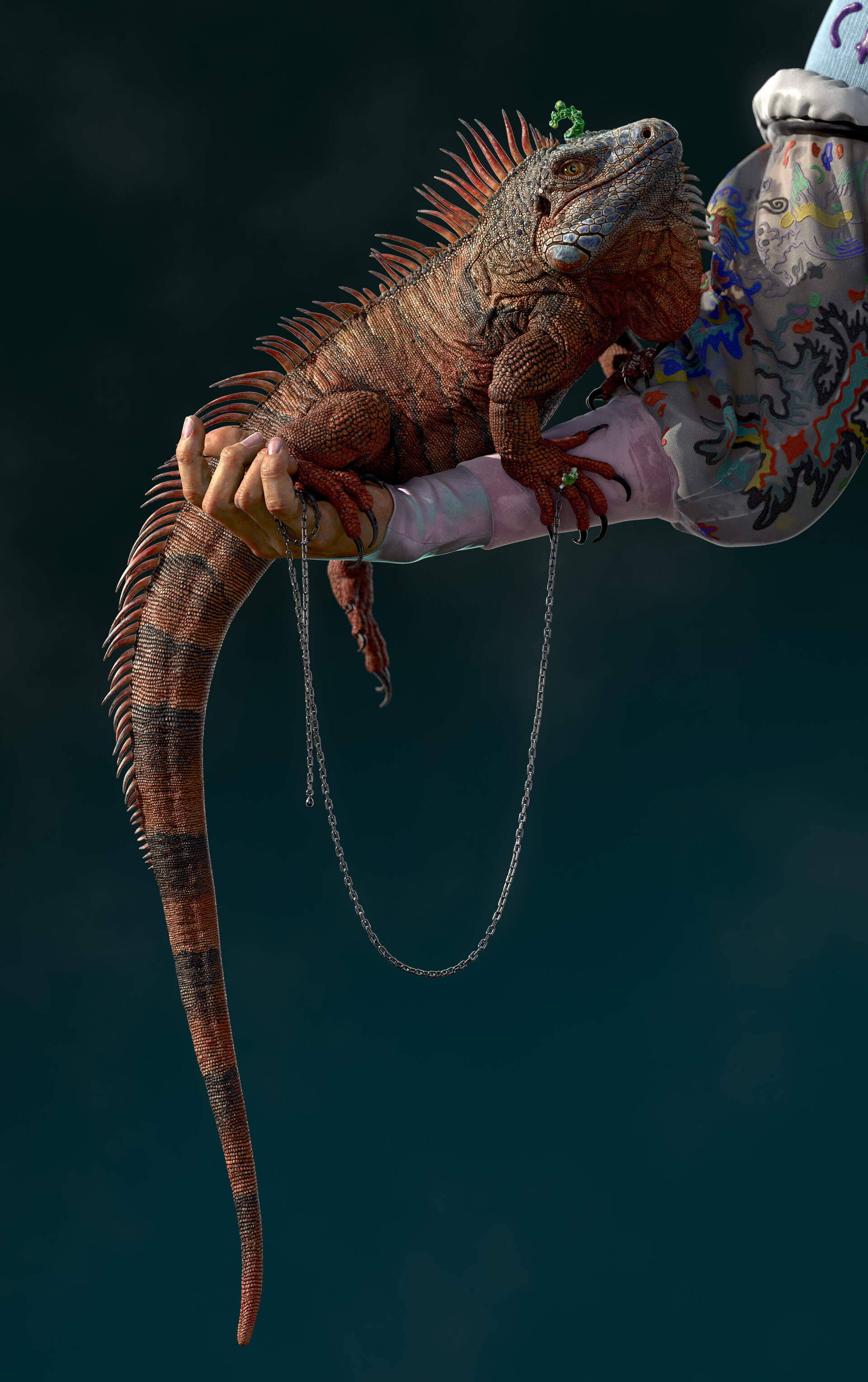 Roda Na (Hyemin Kim) - Roro Son and Iguana