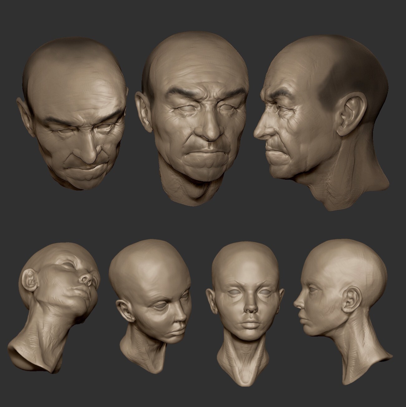 Tara Collas - Human Anatomy Sketches & Ecorche Study