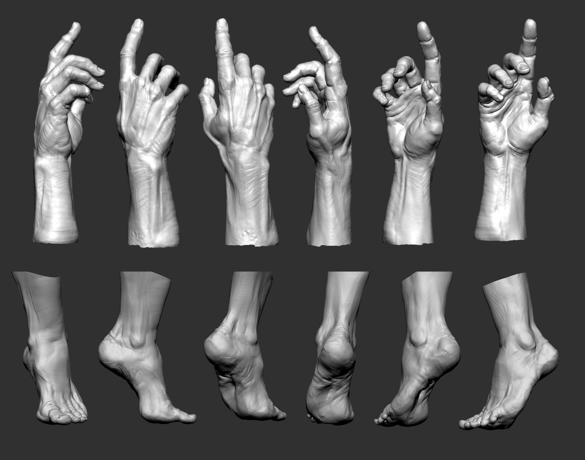 Tara Collas - Human Anatomy Sketches & Ecorche Study