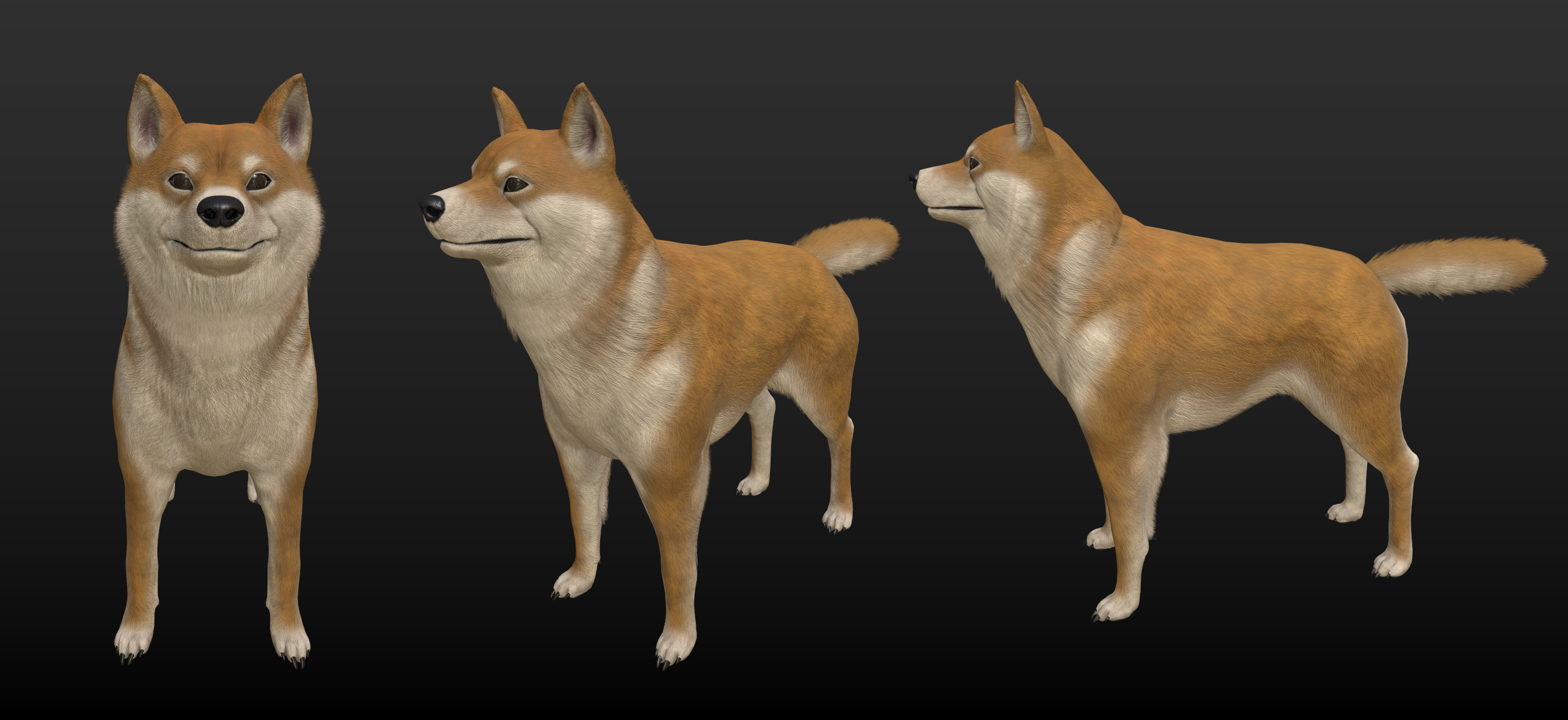 Bryan Silva - Shiba Inu