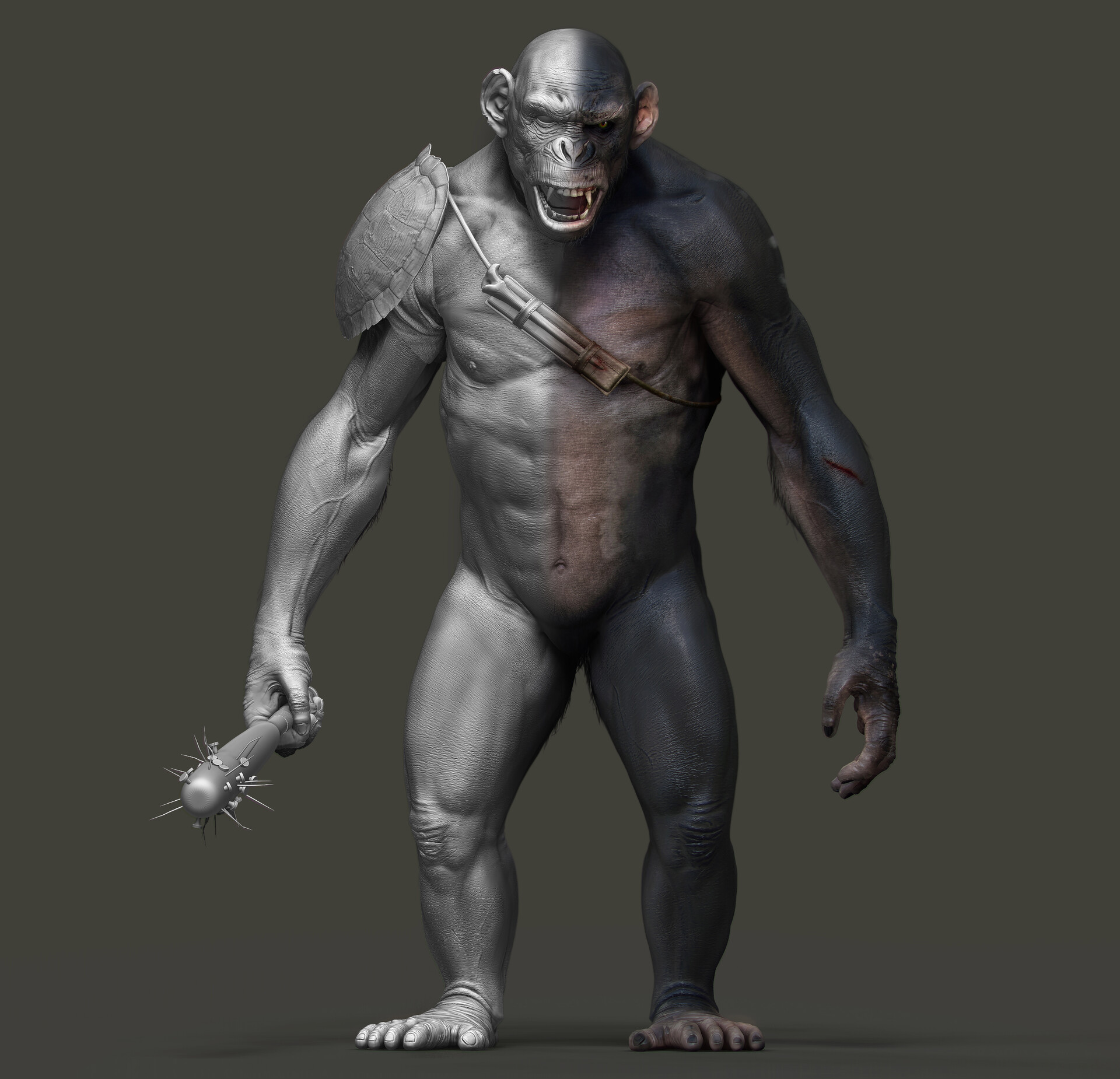 ArtStation - Ape study