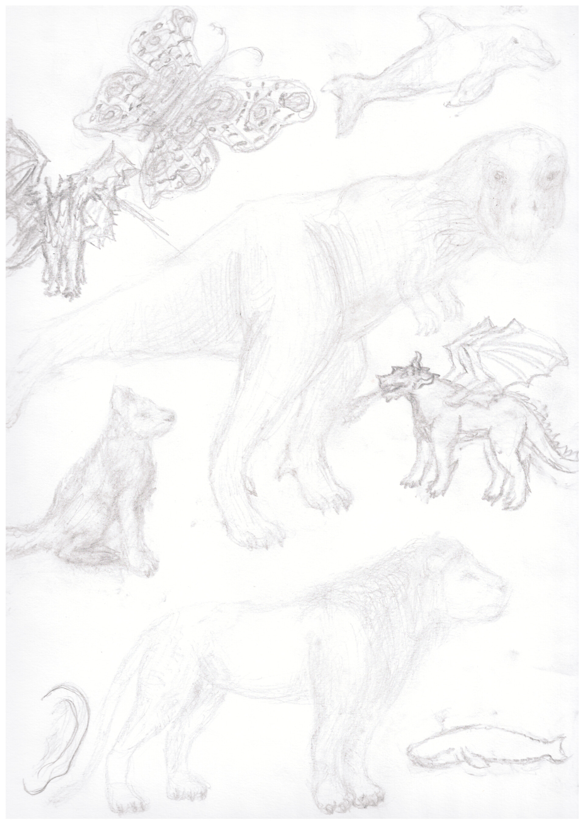 ArtStation - Ideas developed while sketching