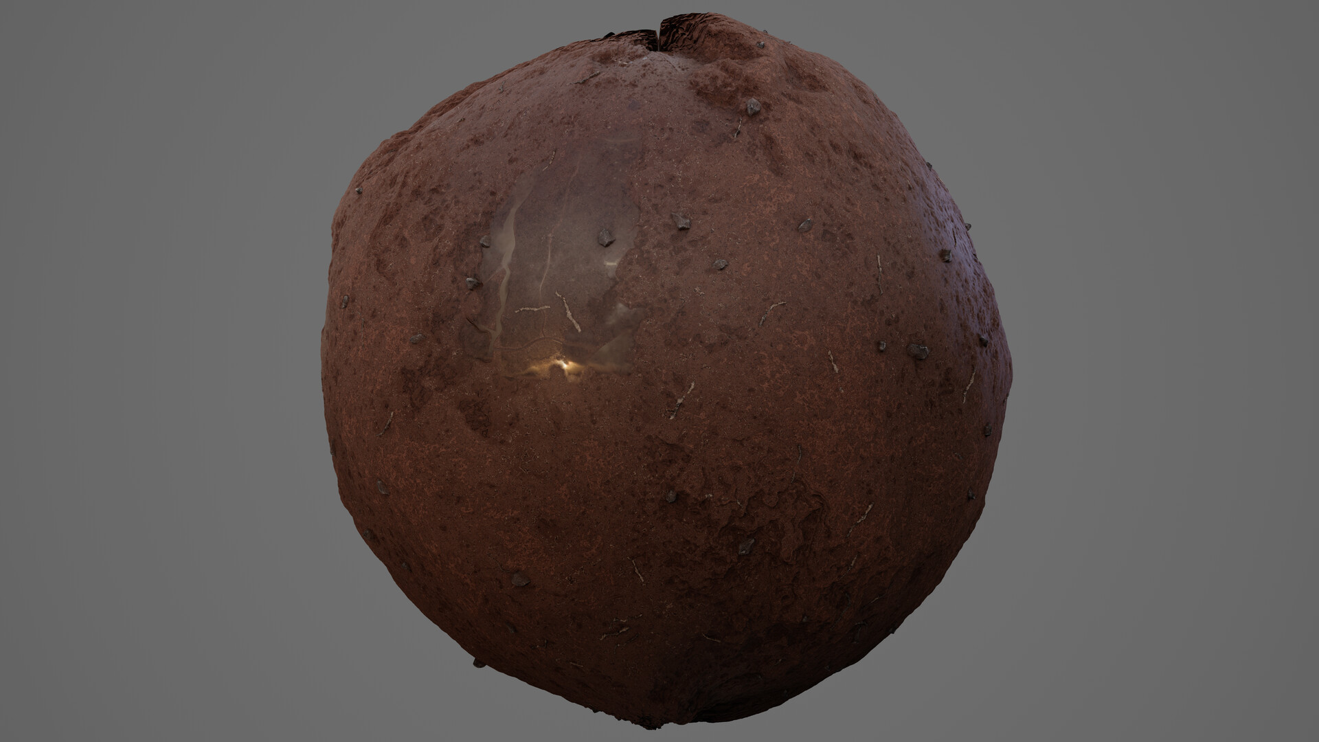 ArtStation - Wet Ground with Scattered Twigs and Pebbles (Tileable)