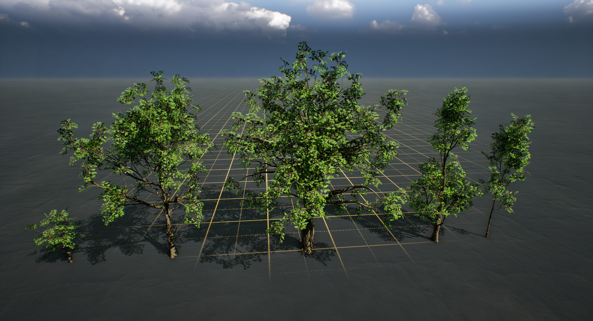 Artist Christopher Olson - Dungeons & Dragons