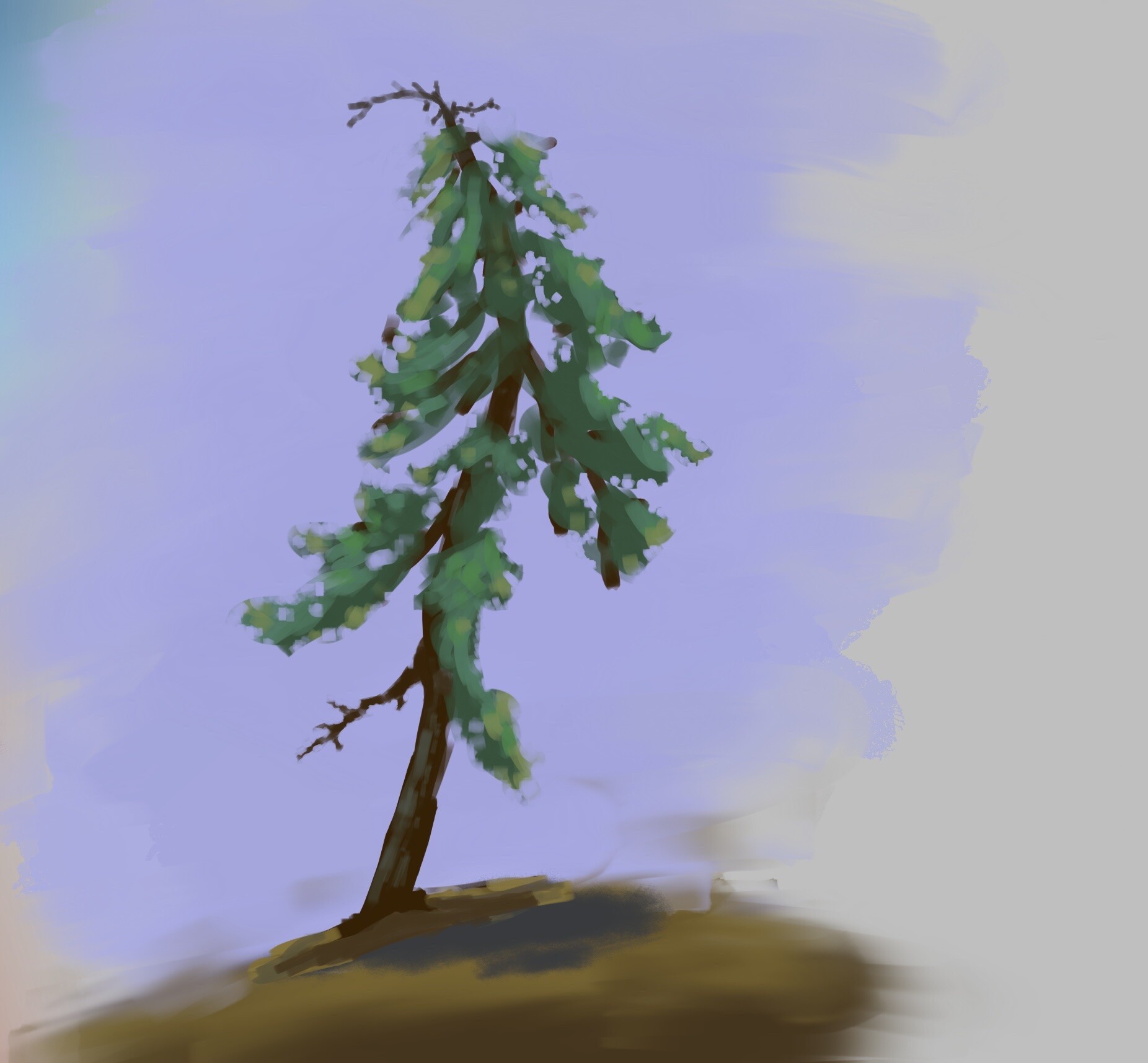 ArtStation - Tree study