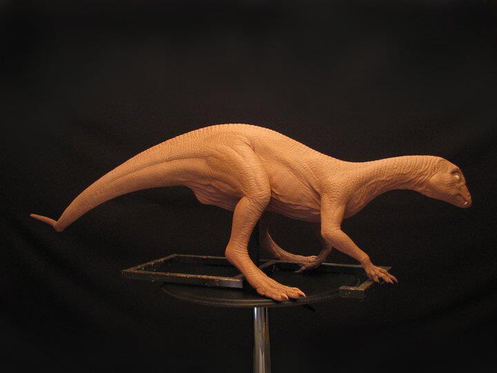 Steven Saunders - Heterodontosaur female