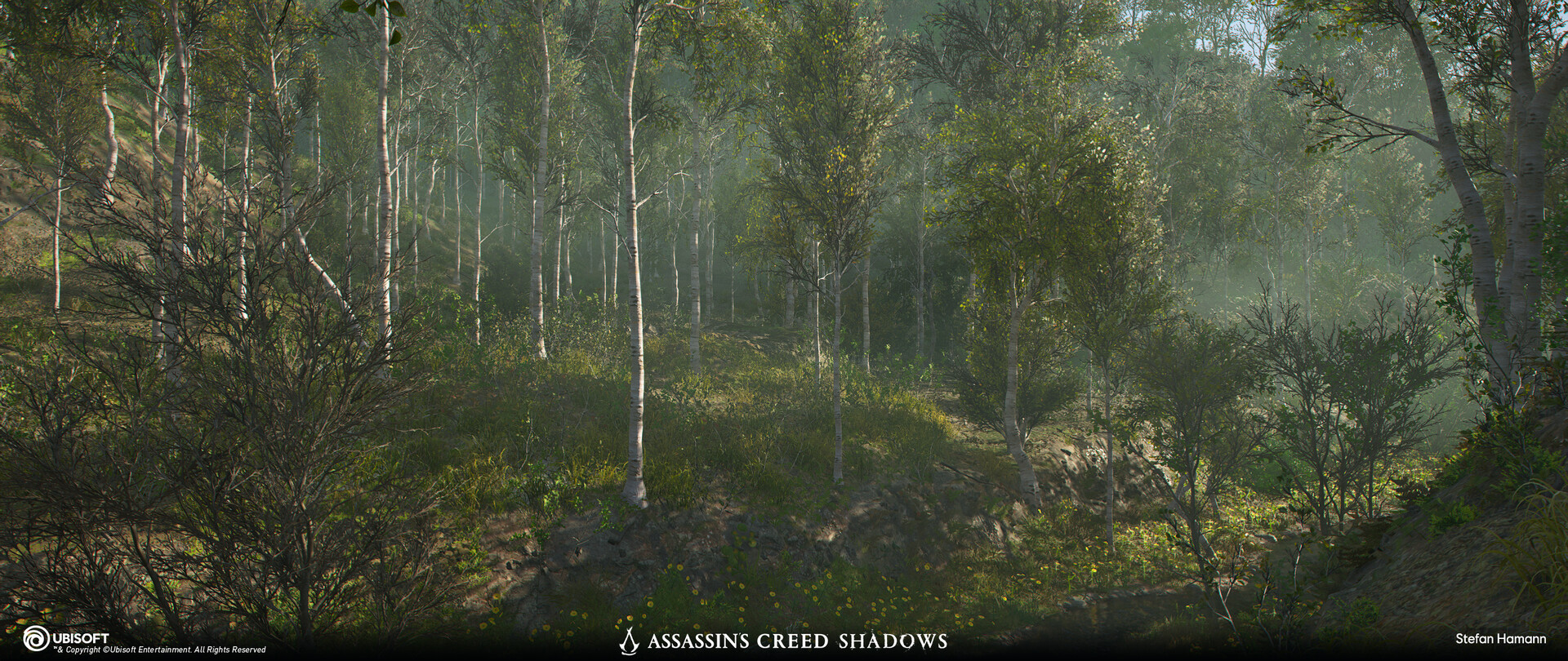 Stefan Hamann - Assassin's Creed: Shadows - Biomes - Birch forest ...