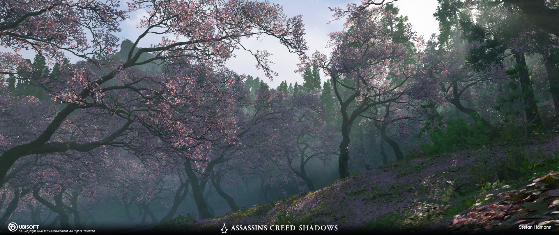 Stefan Hamann - Assassin's Creed: Shadows - Biomes - Sakura forest ...