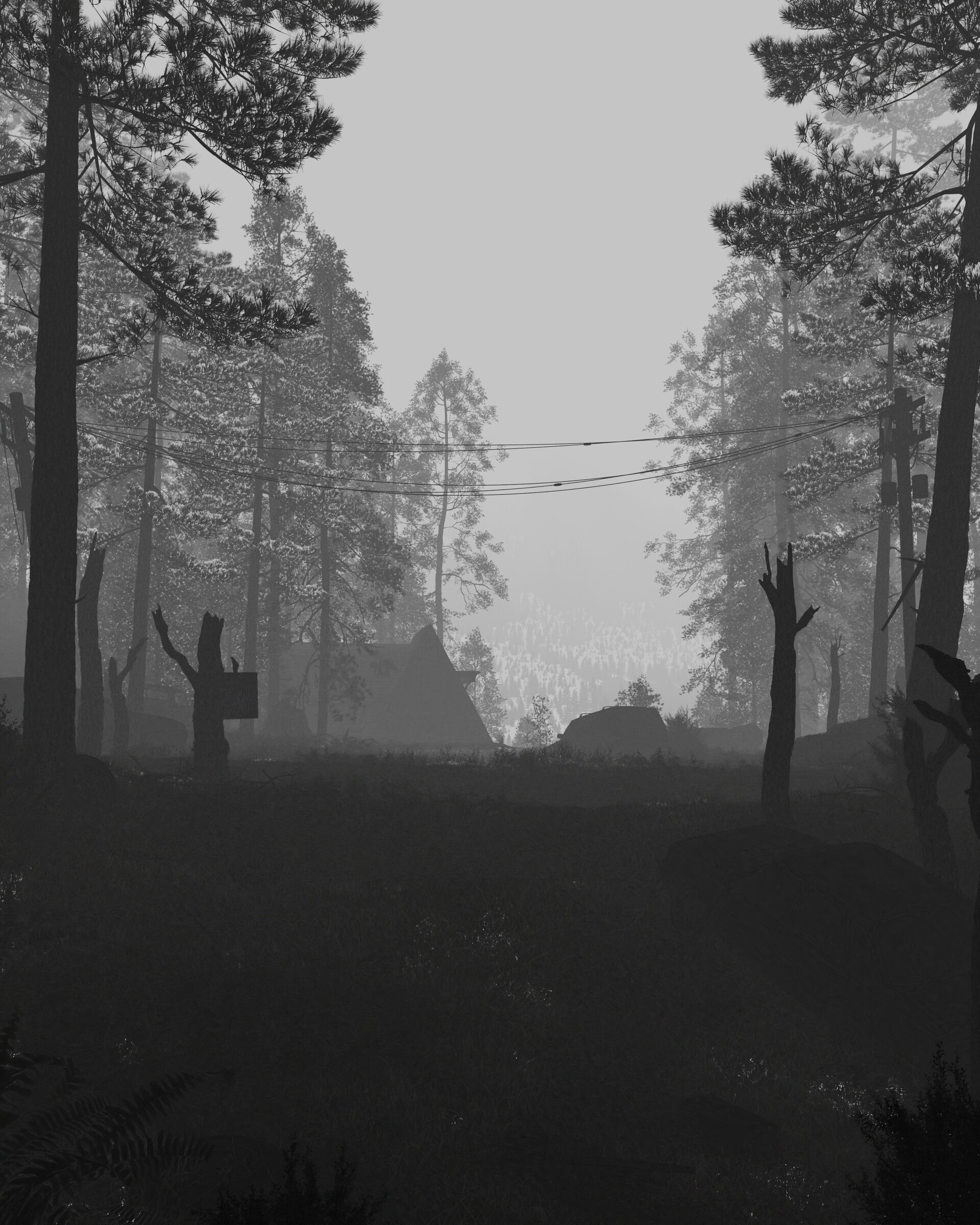 Rithick_03d - Lost in the Pines