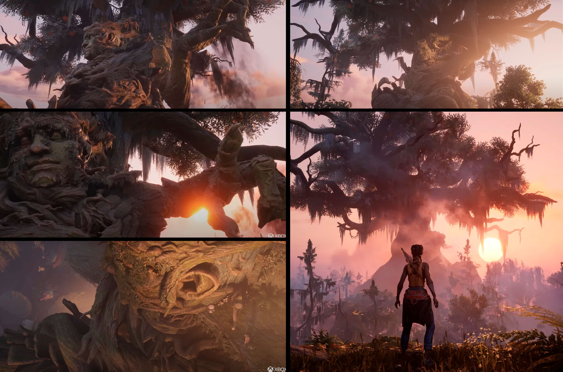 Bragato - Benjy the Tree - South of Midnight Concept Design