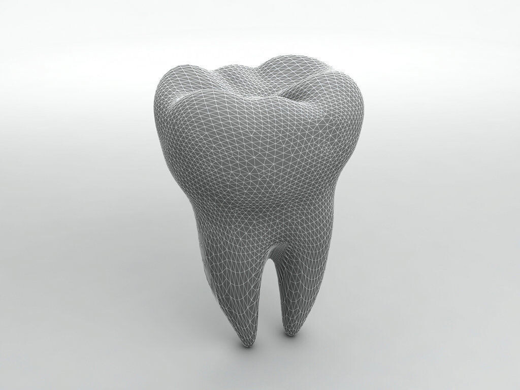 ArtStation - Molar Tooth 3D model