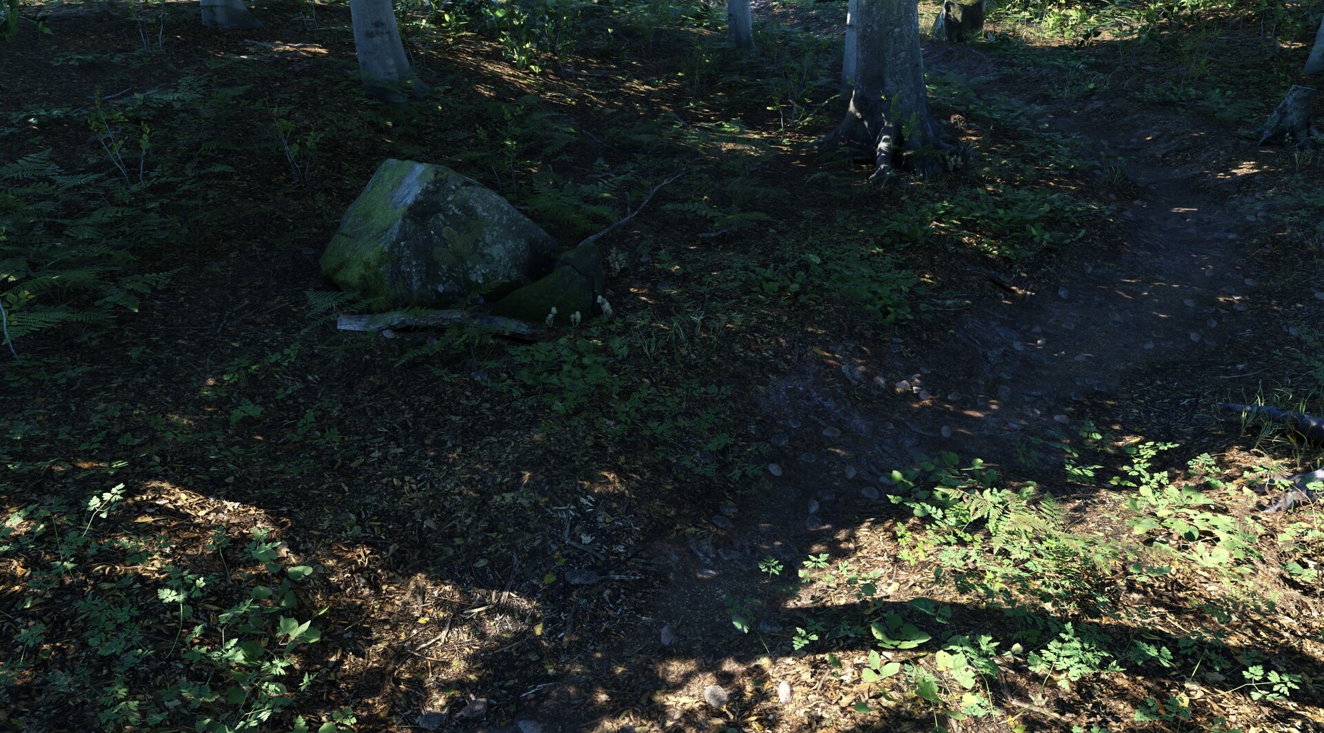 World Creator - The Real-Time Terrain Generator and Landscape Generator ...