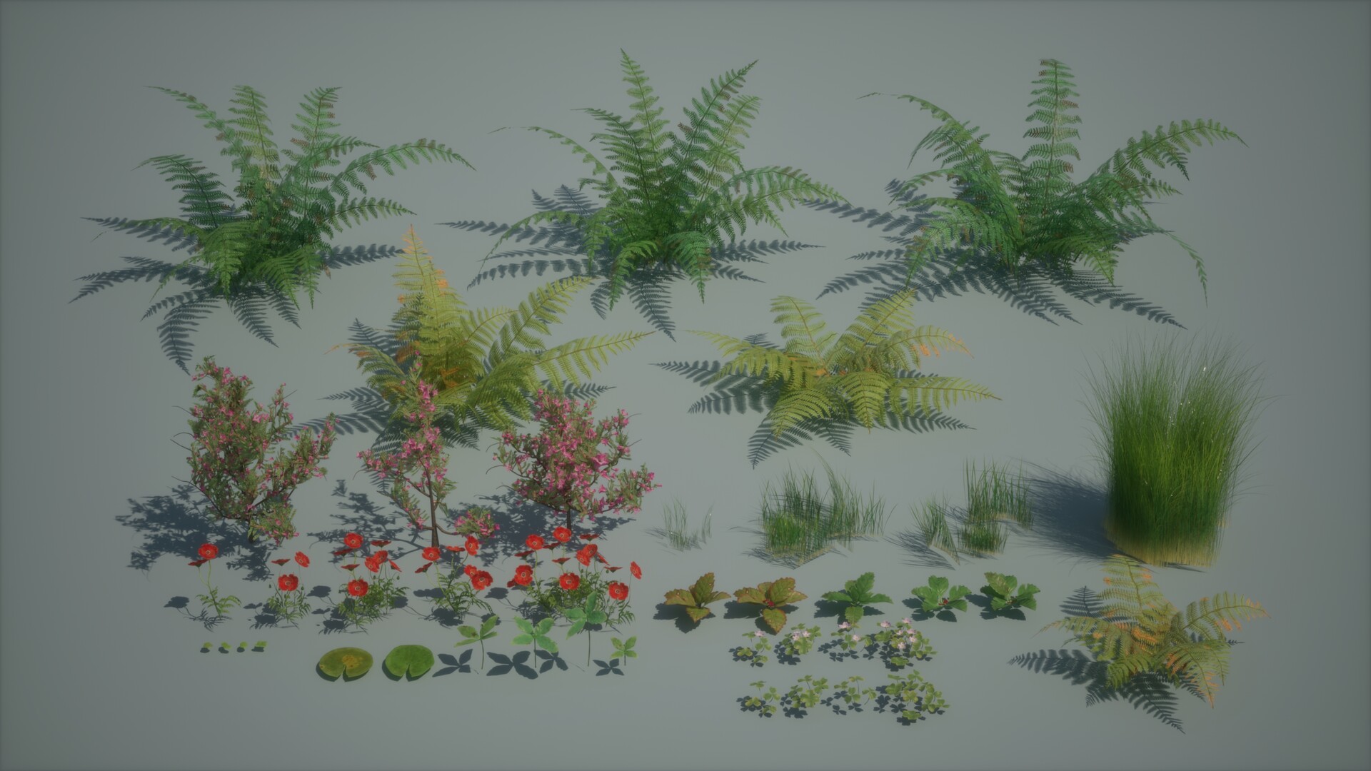 Nicholas Galan - Pondside Vegitation Vignette