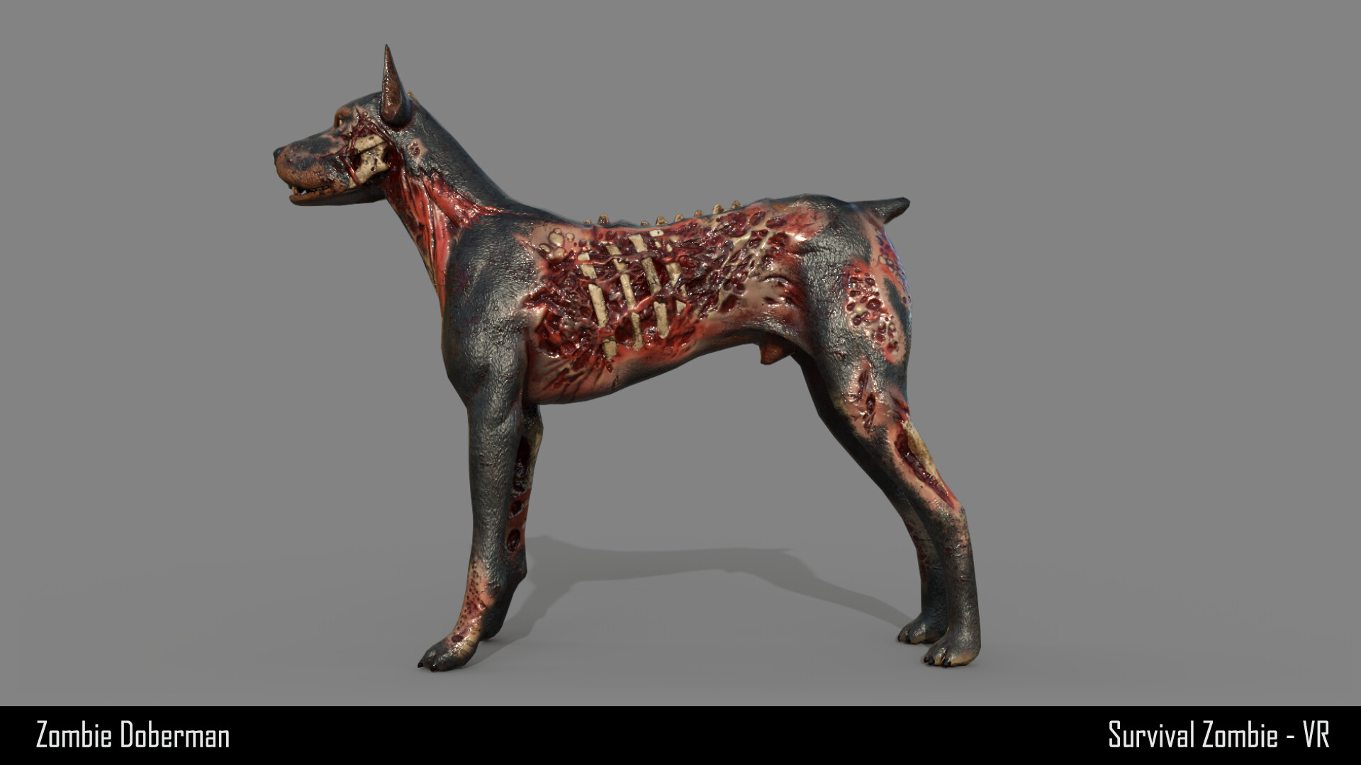 zombie doberman