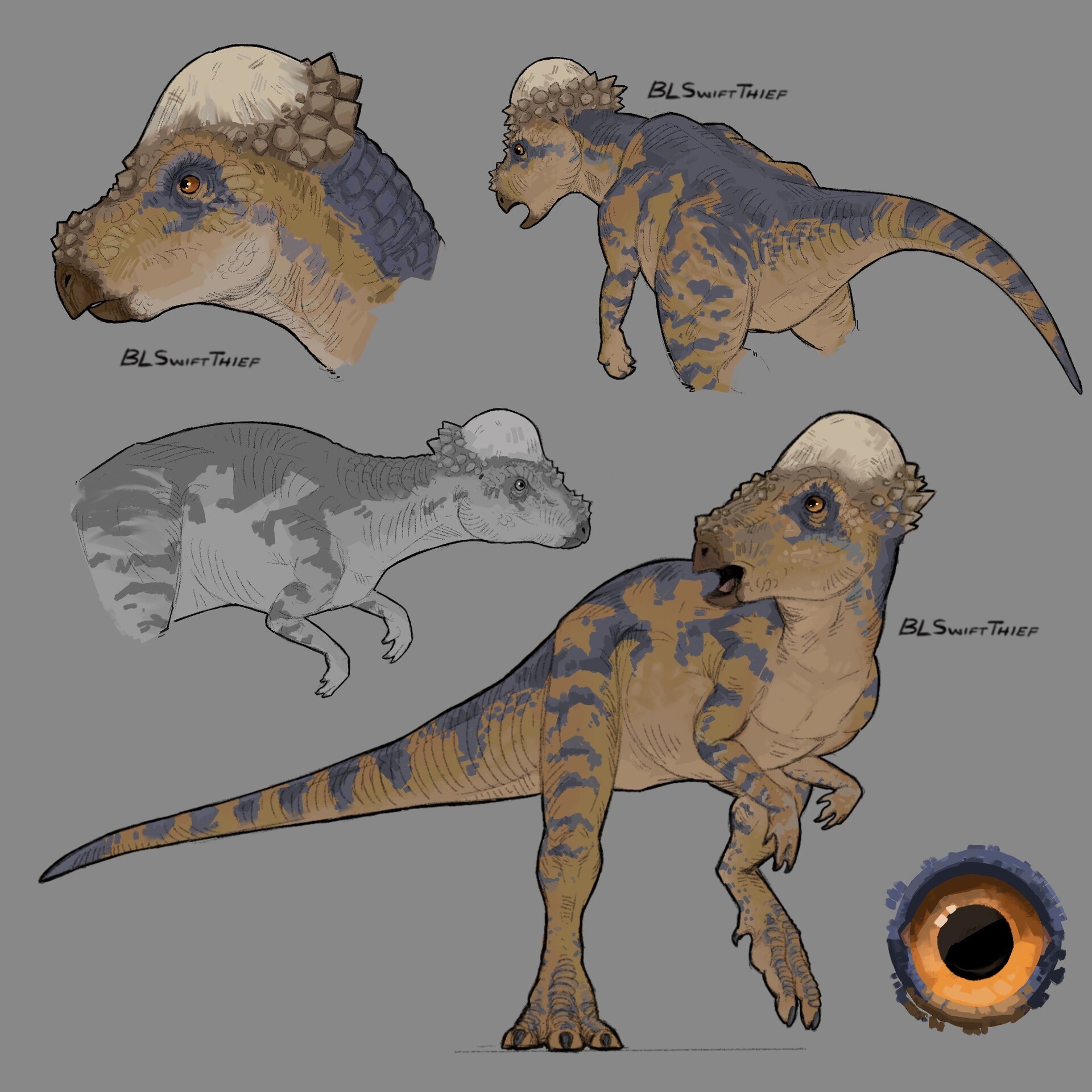 ArtStation - Pachycephalosaurus anatomy (JW)