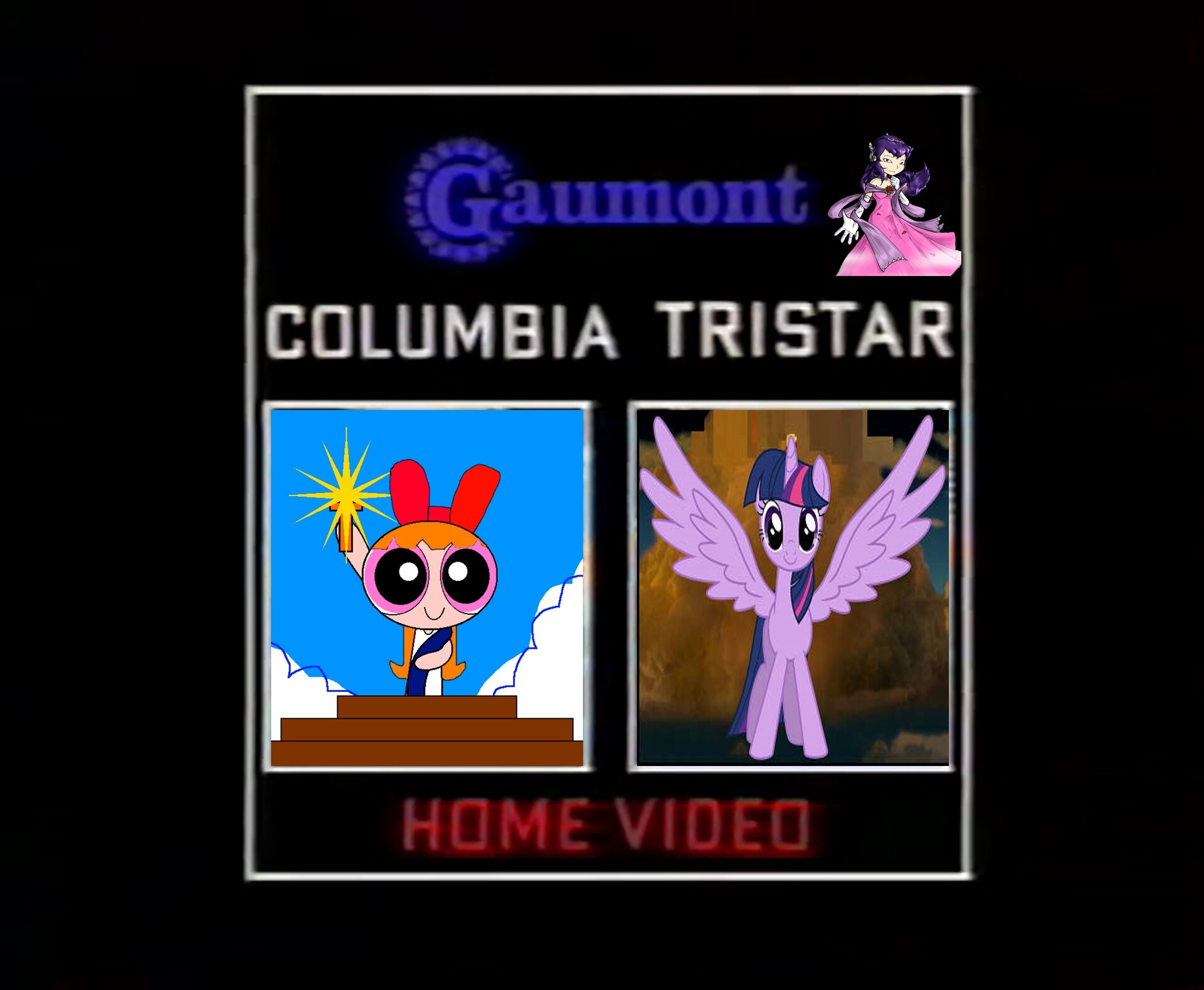 Columbia Tristar Home Video Logo Columbia TriStar Home Video Logo
