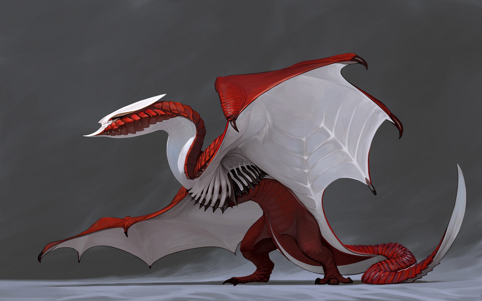 ArtStation - dragon concept sketches