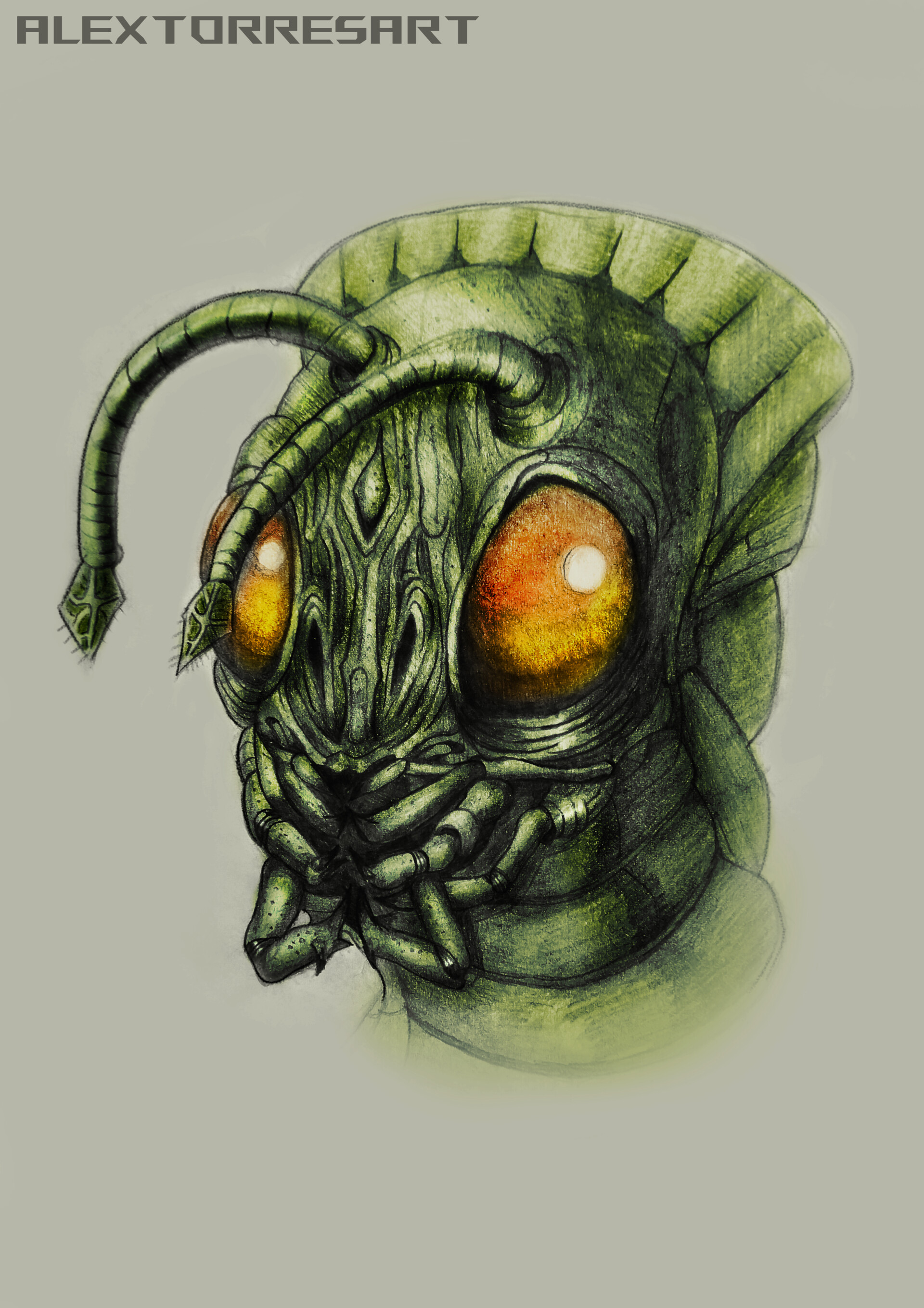 ArtStation - Insectoid creature - Concept art