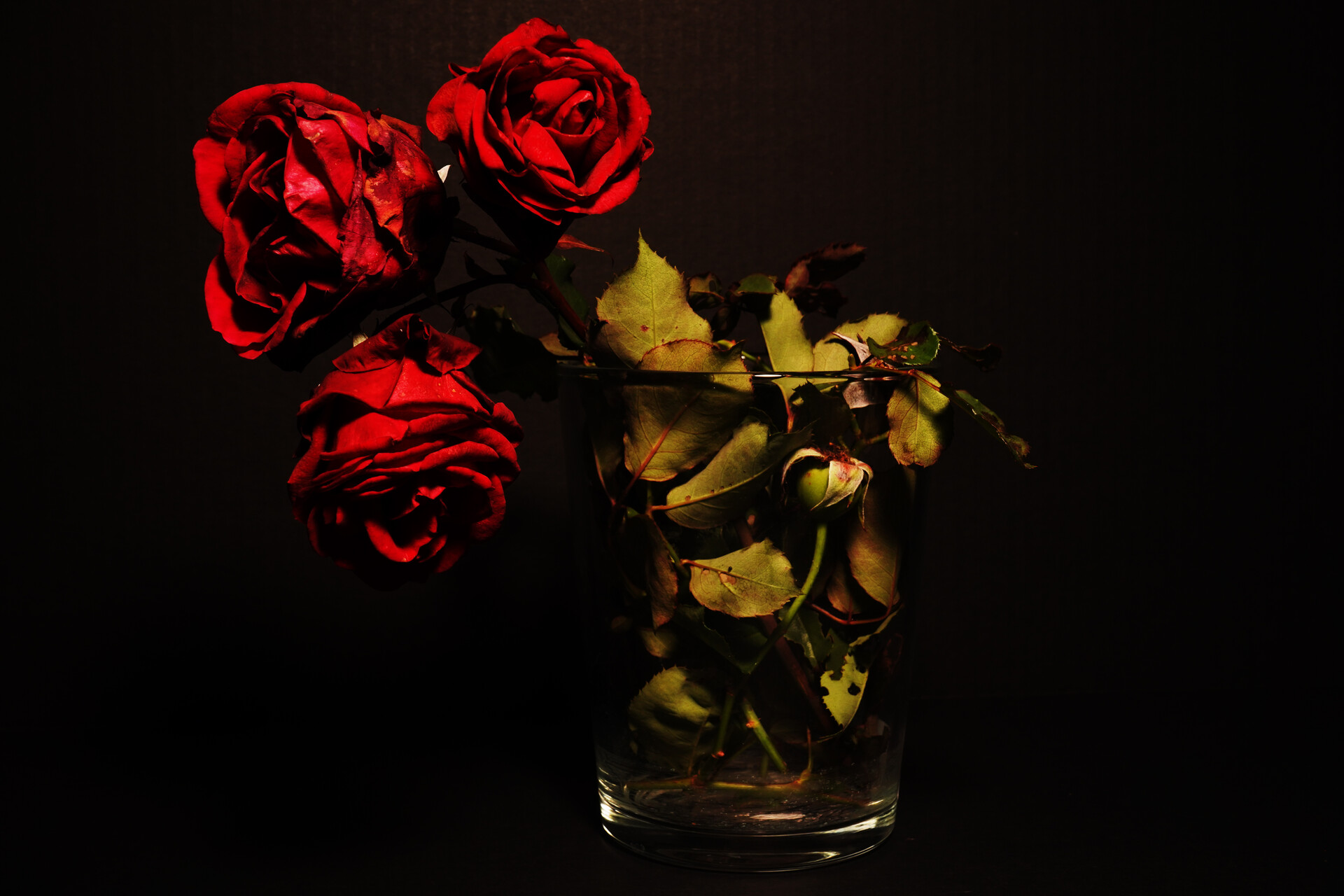 ArtStation - Dramatic Photography Set