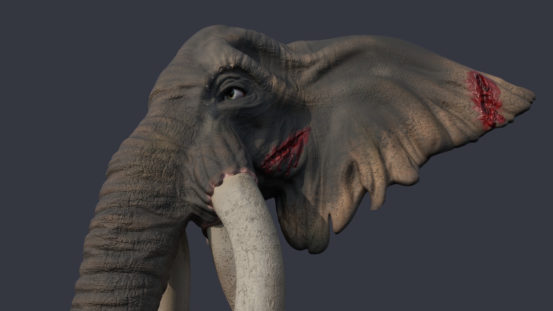 ArtStation - Elephant Head