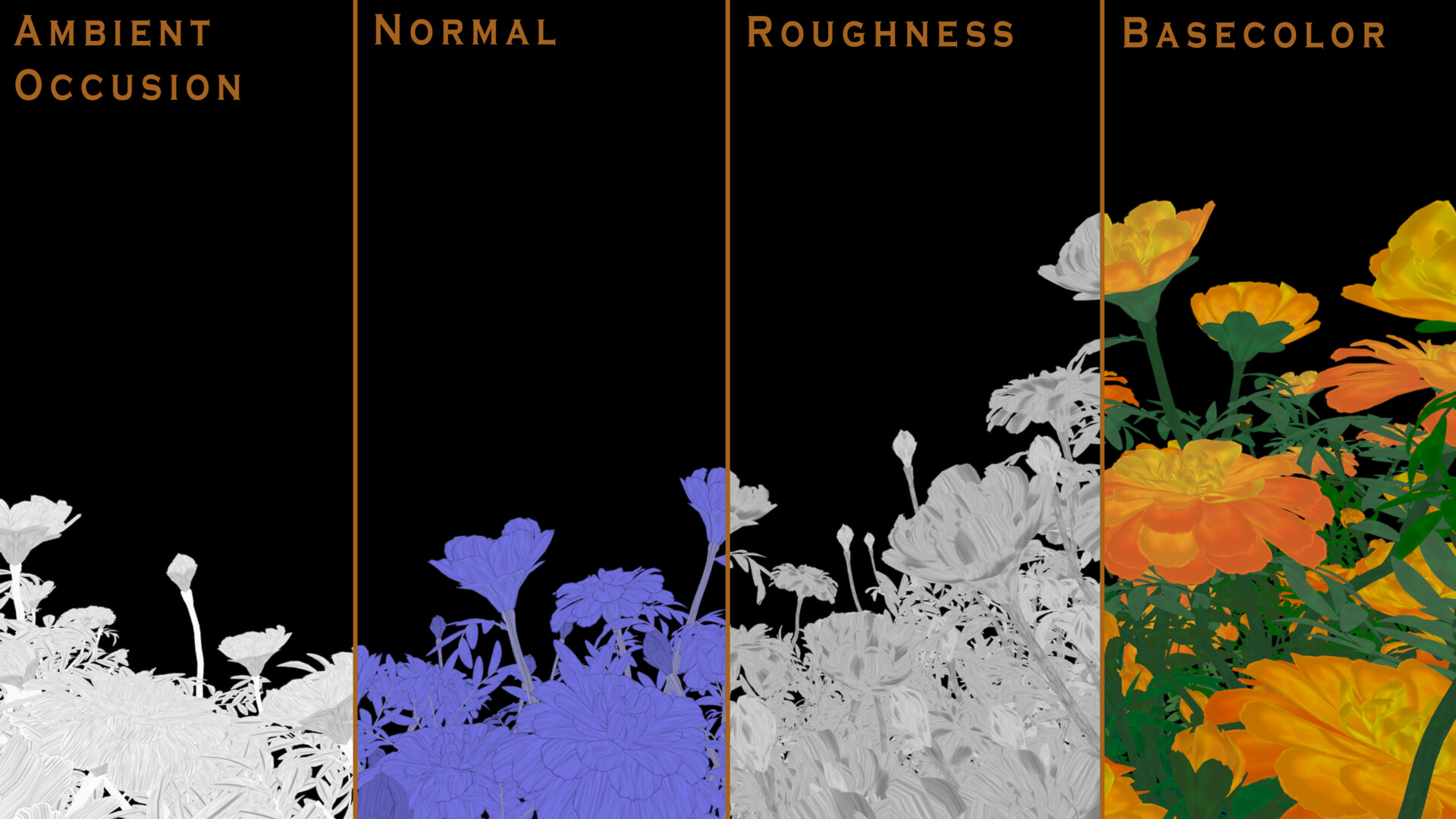 Duuk Dollekens - Stylized Marigold Flowers