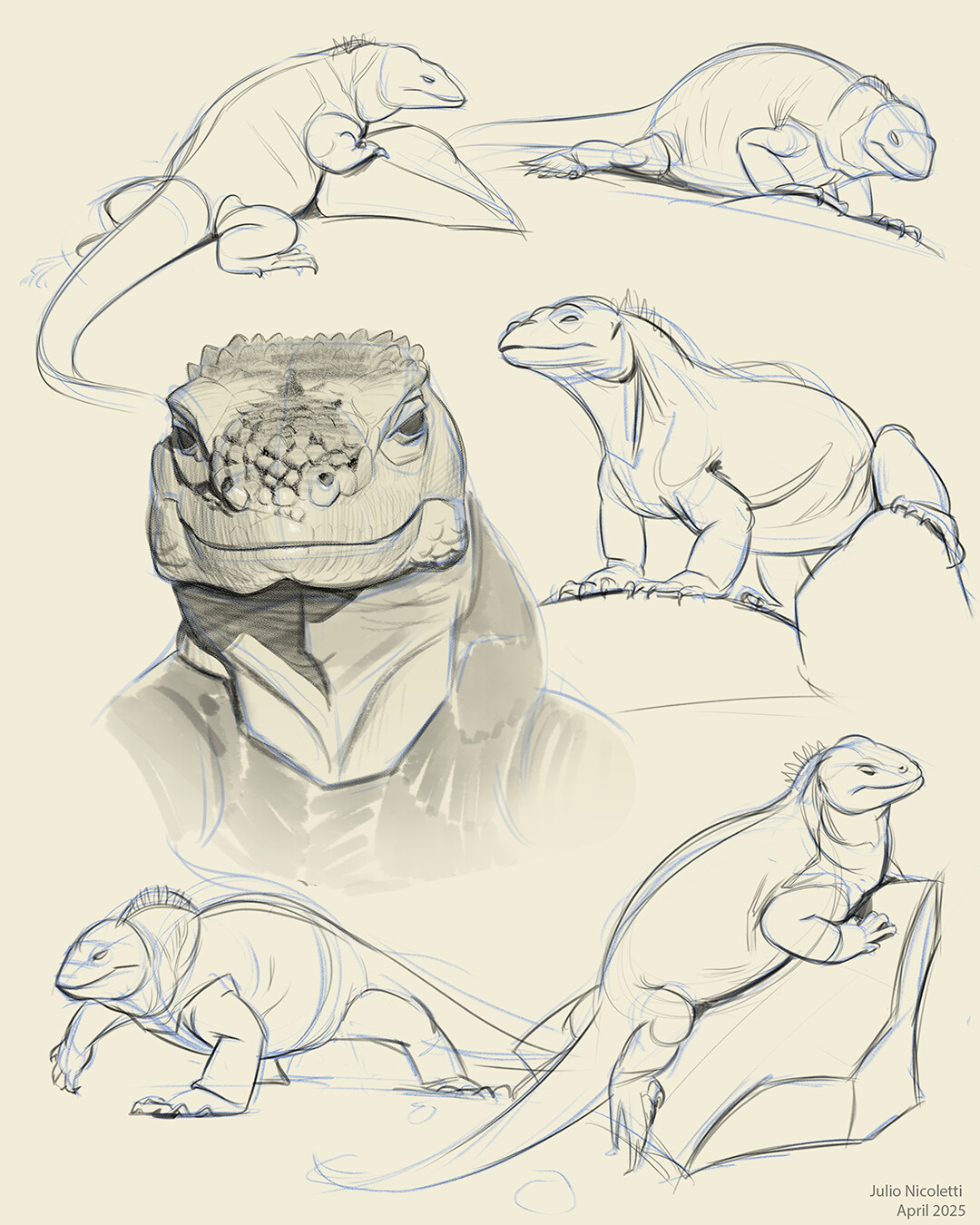 ArtStation - Iguana Studies