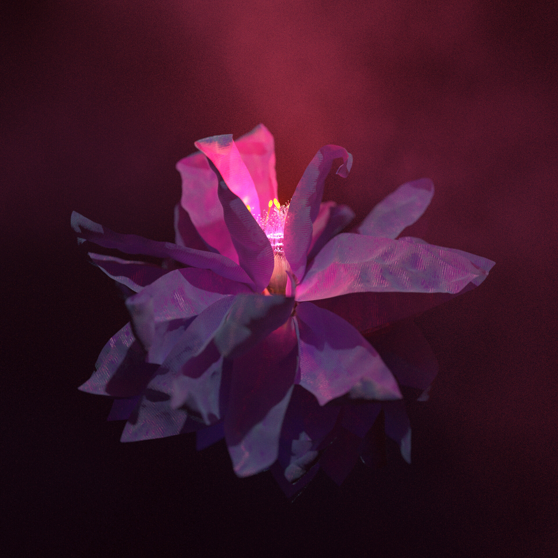 ArtStation - Digital Flower: The Evolutionary One