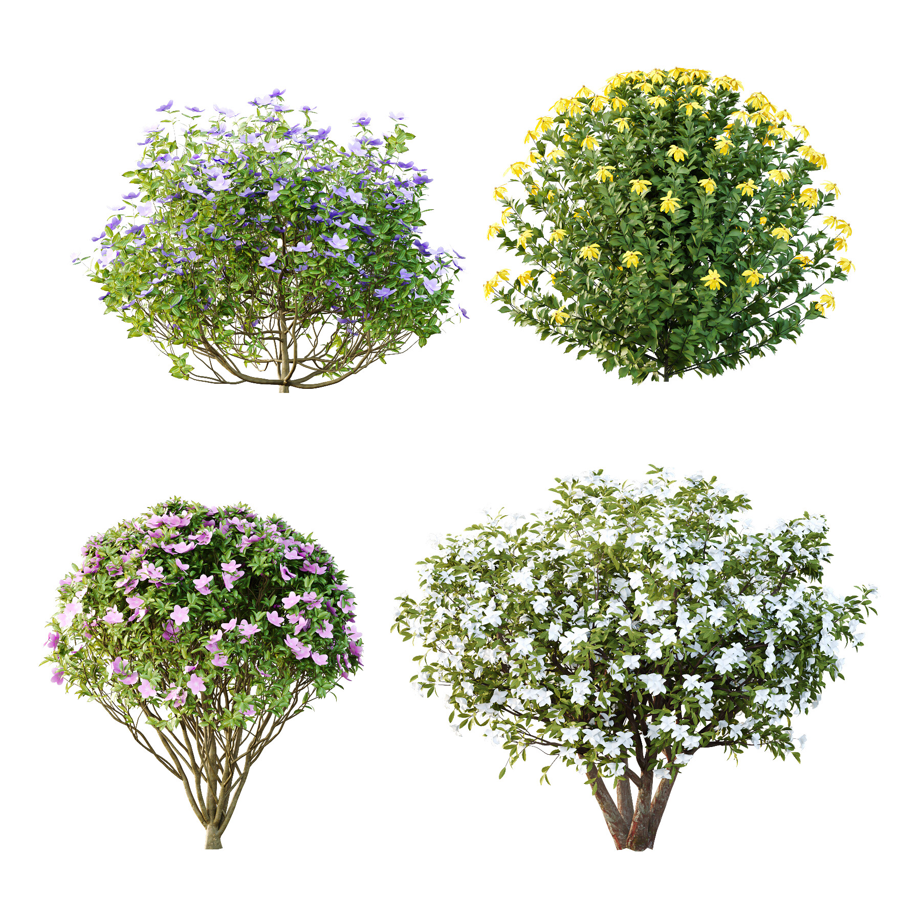 ArtStation - Different bush 03