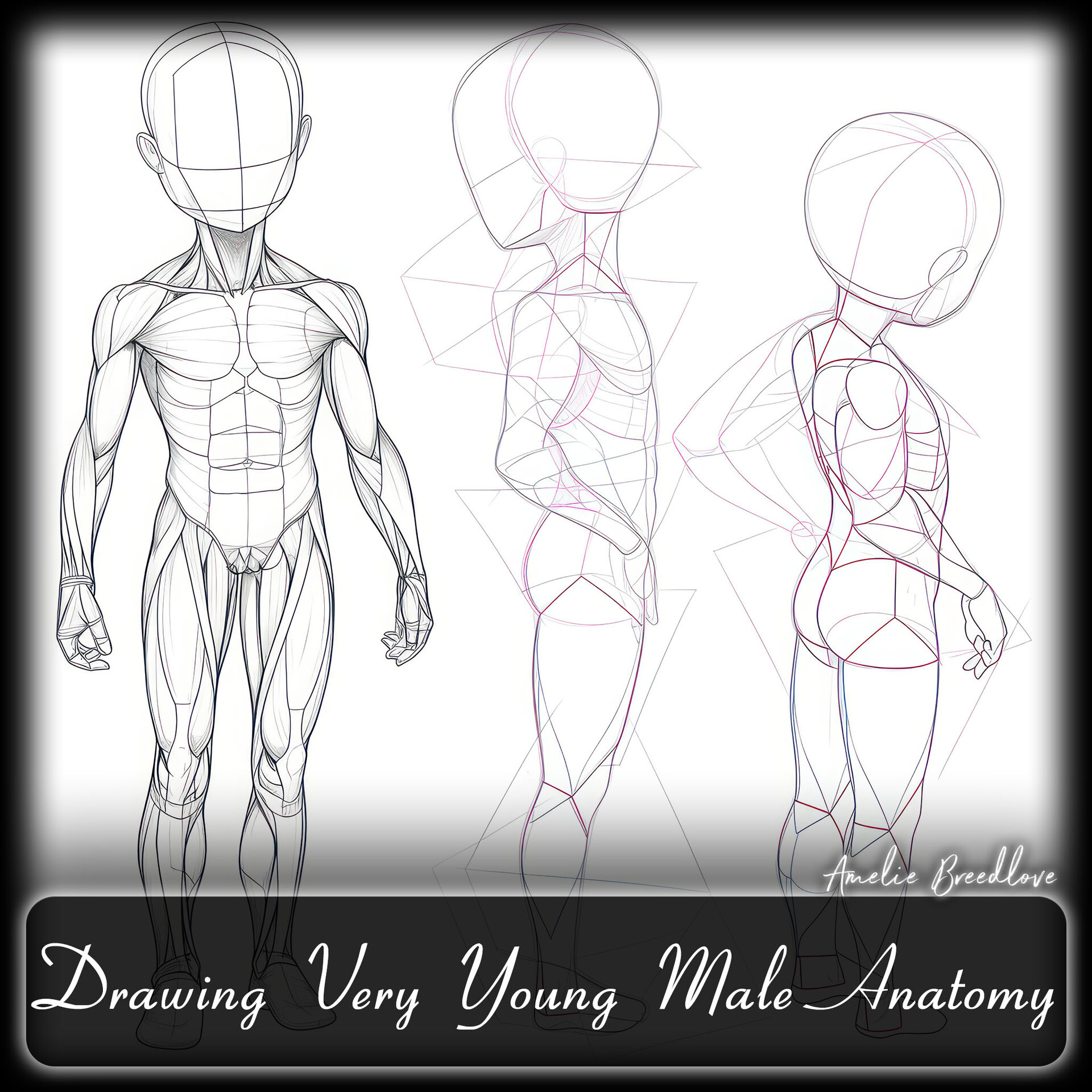 ArtStation - 300 Drawing Very Young Male Anatomy Reference Pack | 4K | v.8