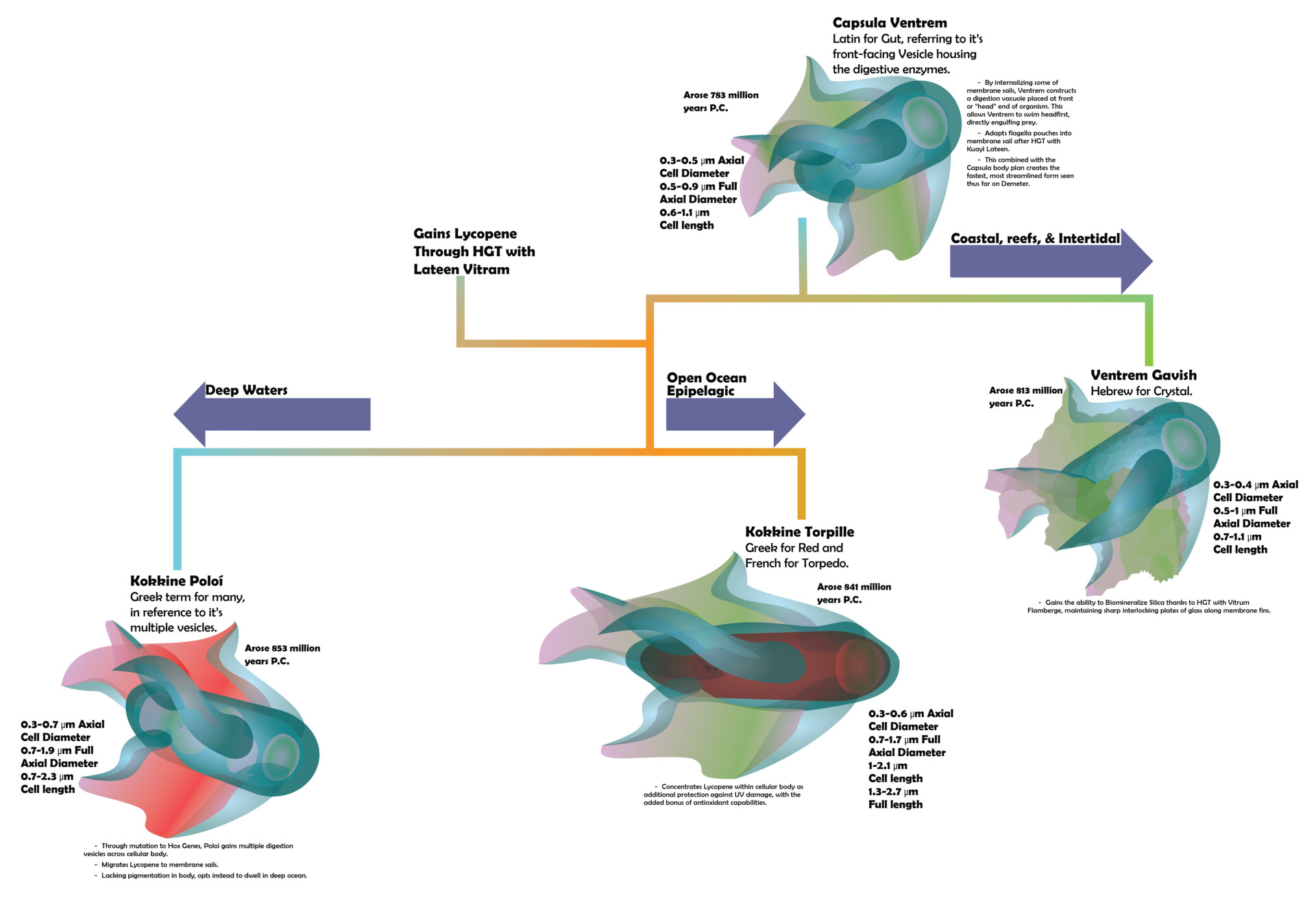 ArtStation - Ventrem diversification cladogram